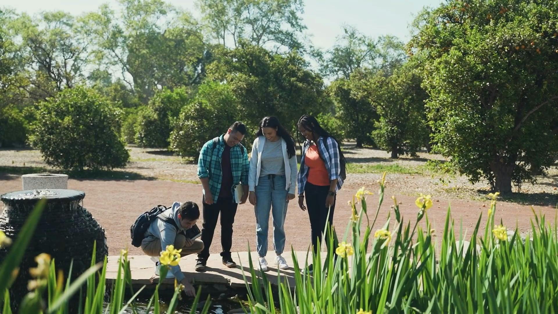 Friends Looking at the Waterfalls at the University Campus Free Stock ...
