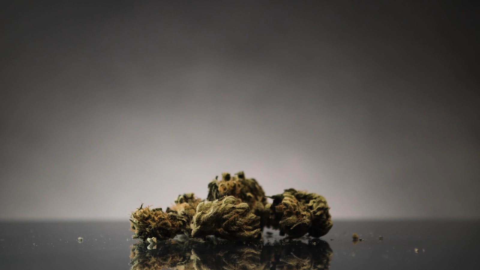 High Resolution Videos, Download The BEST Free 4k Stock Video Footage ...