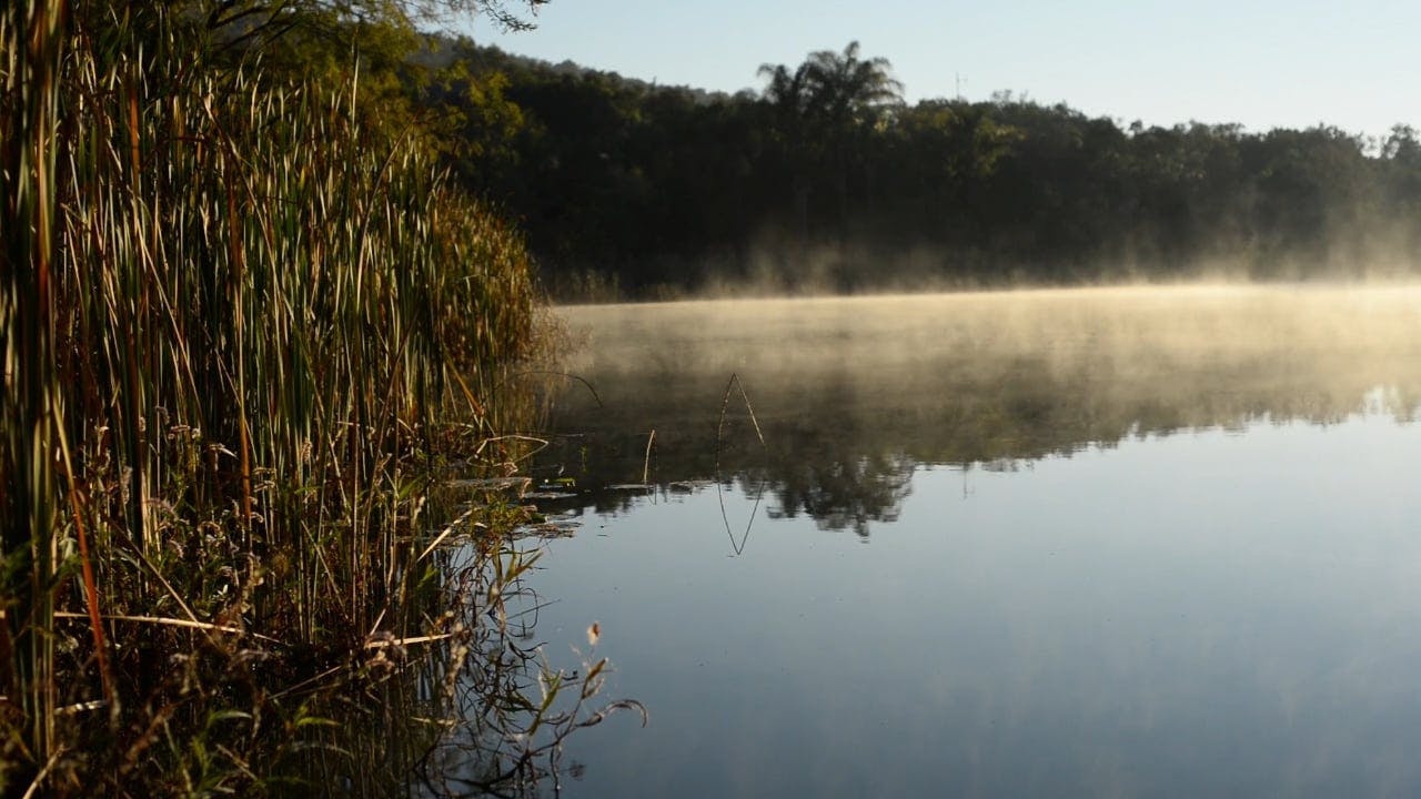 Mist on Lake Free Stock Video Footage, Royalty-Free 4K & HD Video Clip