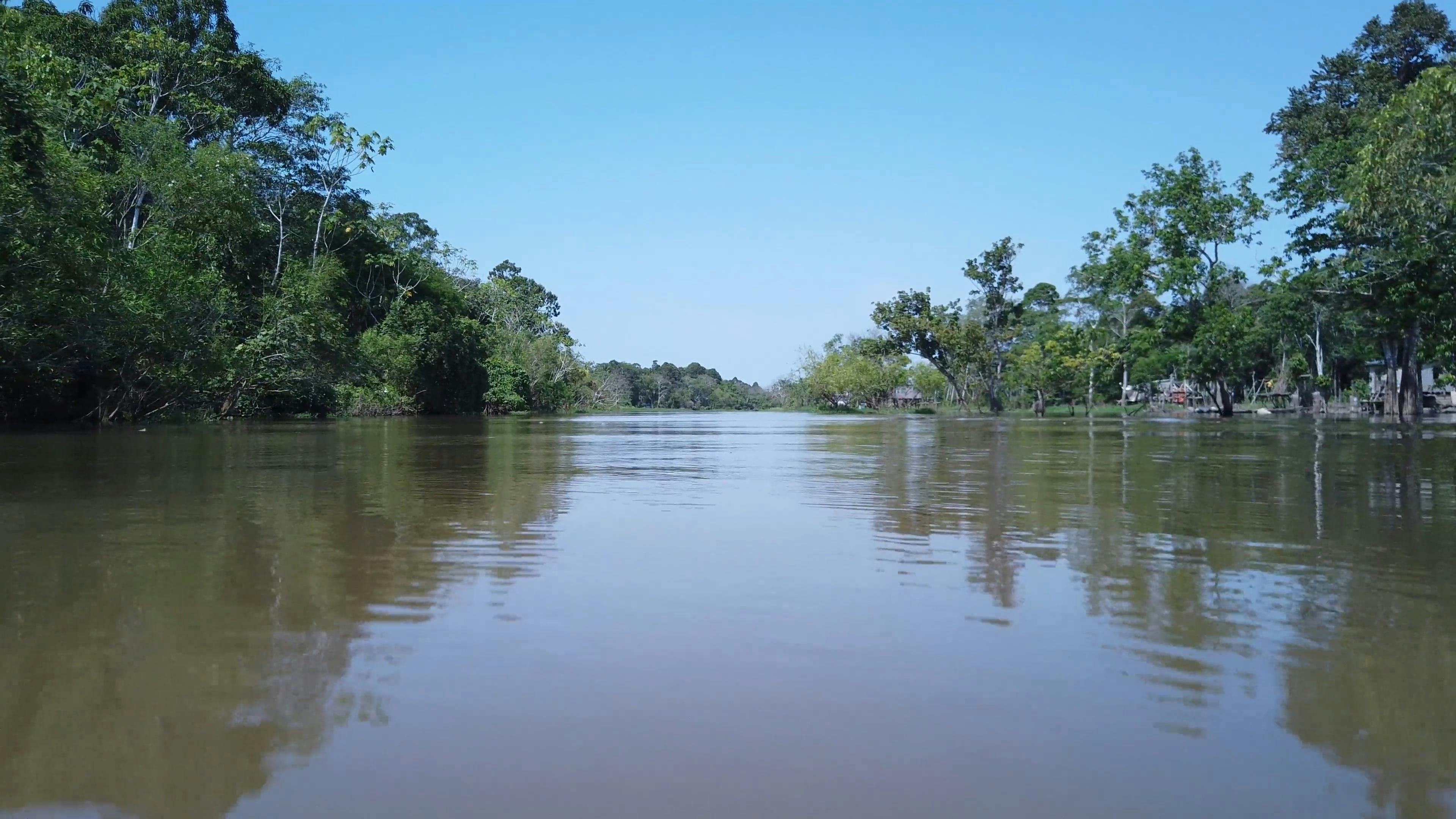 View of the Amazon River in a Boat Ride · Free Stock Video