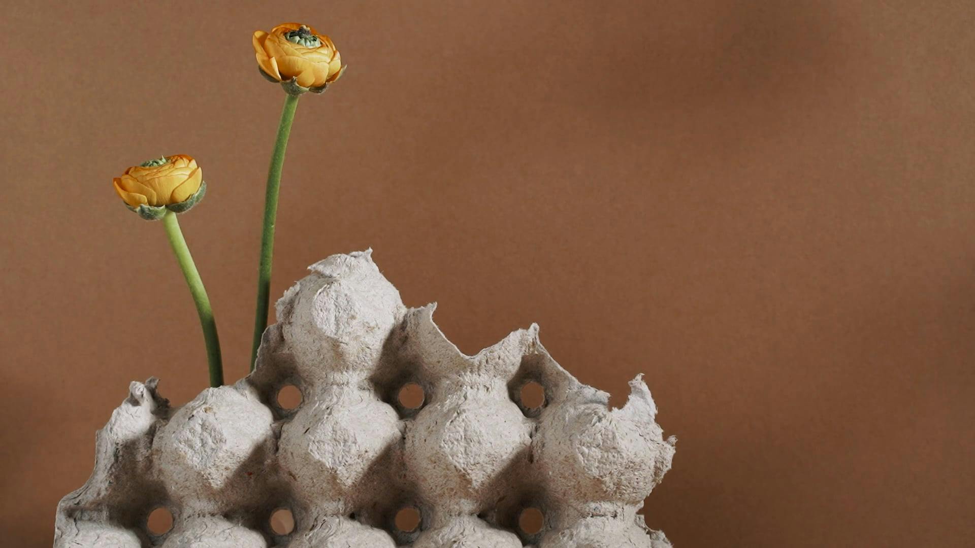 Ivan Samkov · Nhiếp ảnh