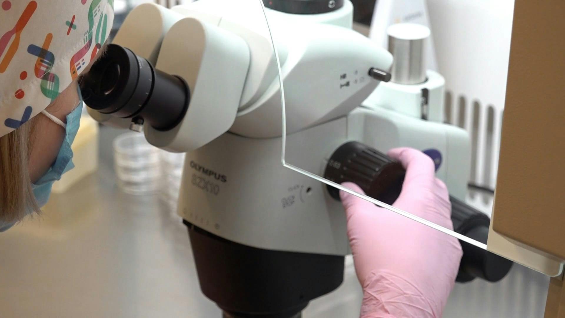 Laboratory Inspection Videos, Download The BEST Free 4k Stock Video ...