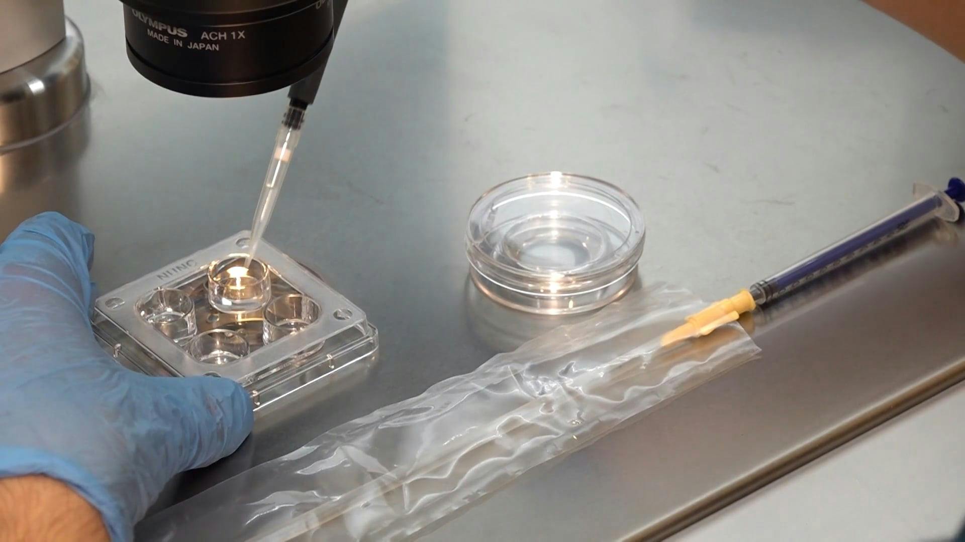 Scientist Working In A Laboratory Free Stock Video Footage, Royalty ...