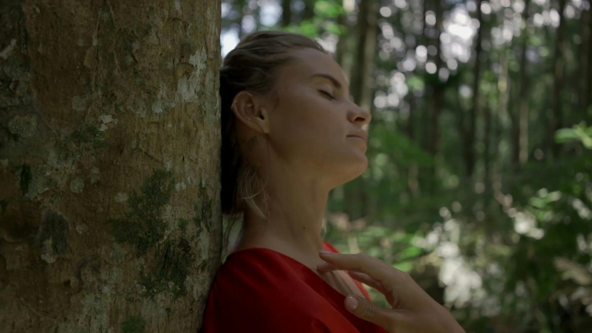 Chill In Jungle Videos, Download The BEST Free 4k Stock Video Footage ...