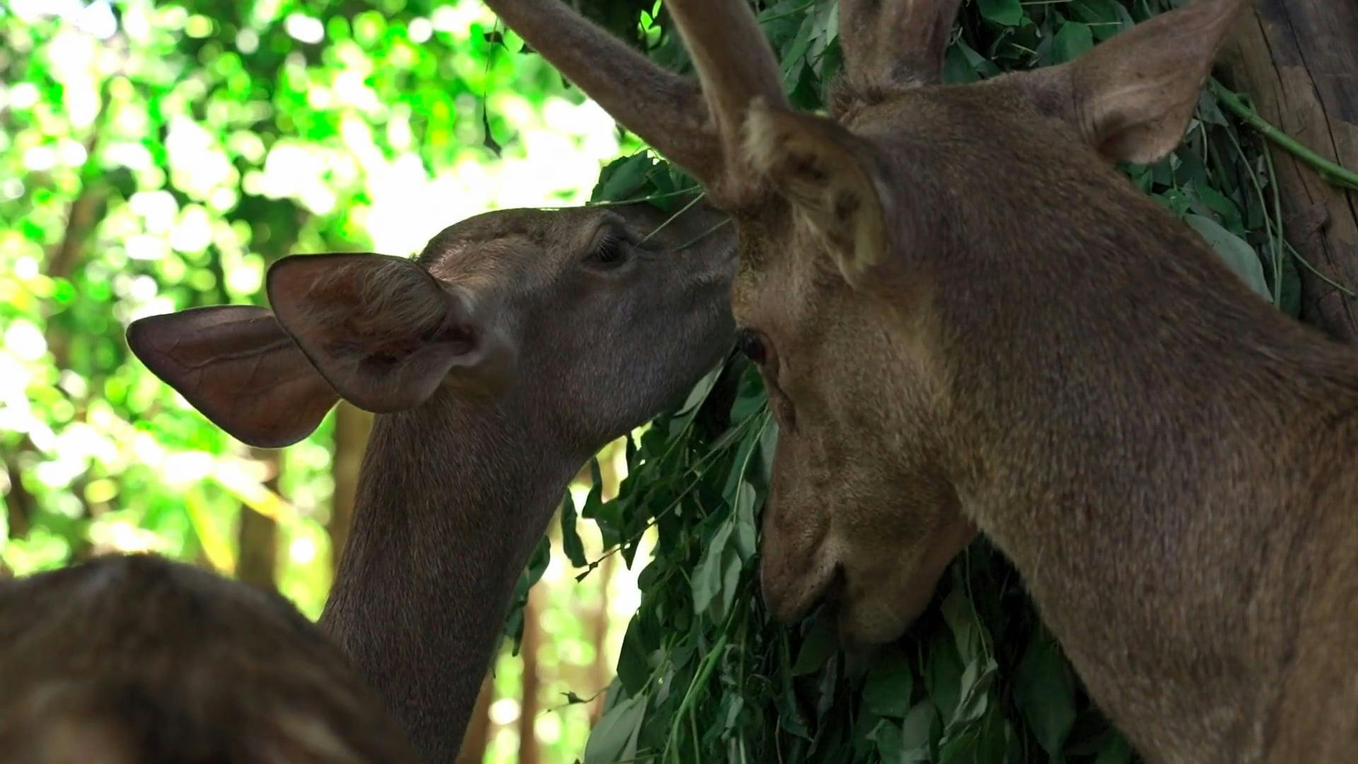 Pizda+Rusa Videos, Download The BEST Free 4k Stock Video Footage ...