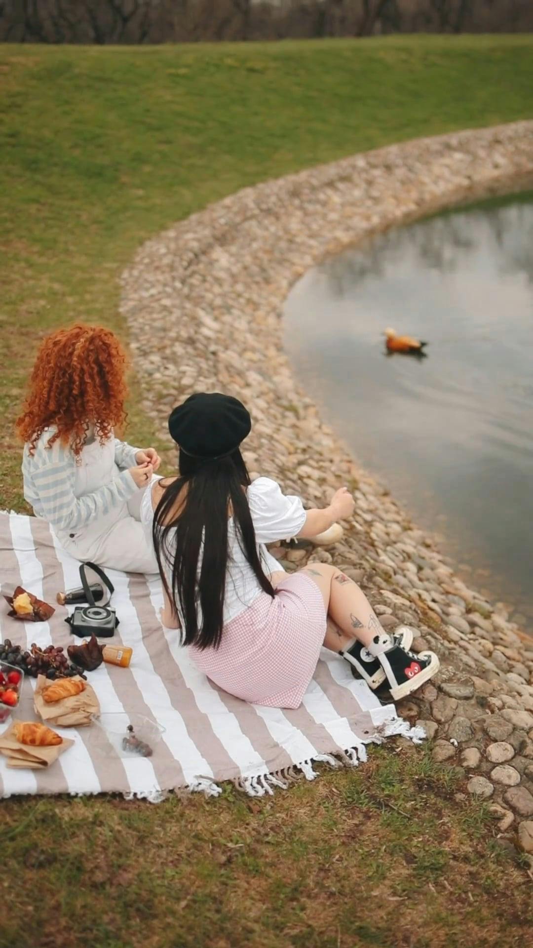 Parks Picnic Videos, Download The BEST Free 4k Stock Video Footage ...