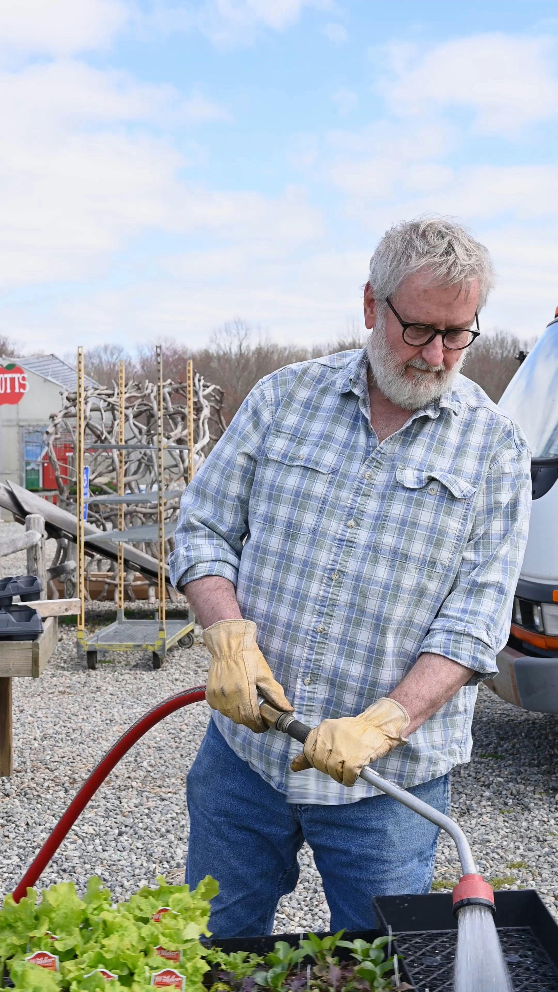 A Man Watering the Plants · Free Stock Video
