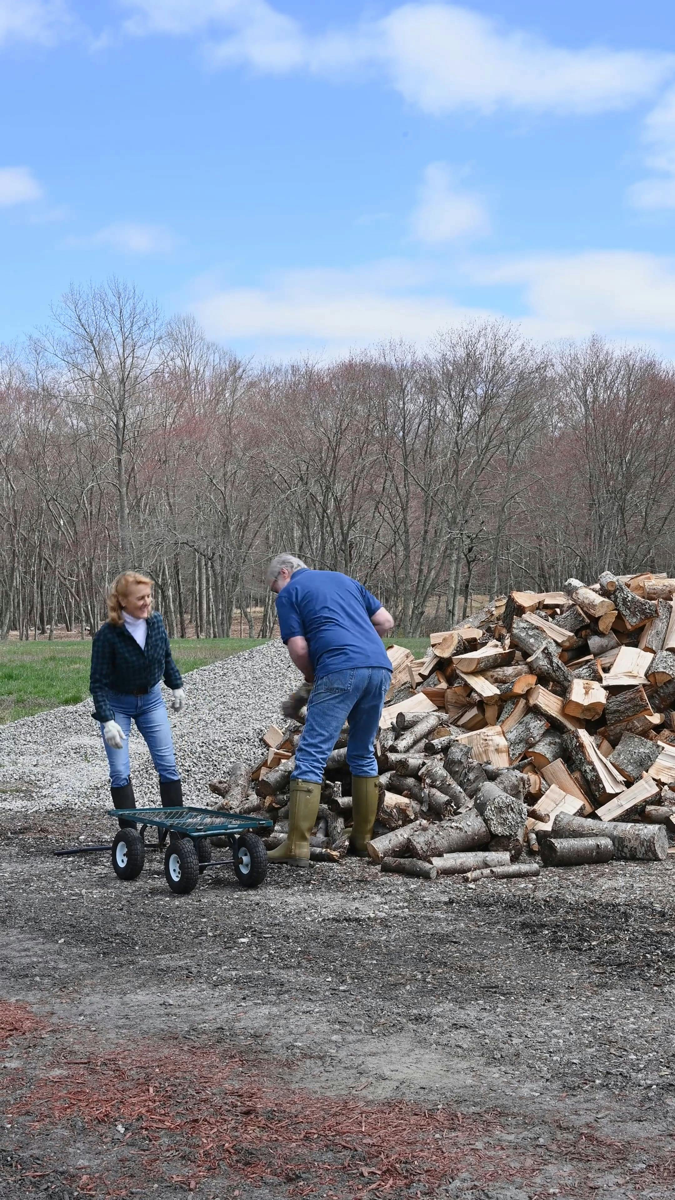 Log Cart Videos, Download The BEST Free 4k Stock Video Footage & Log ...