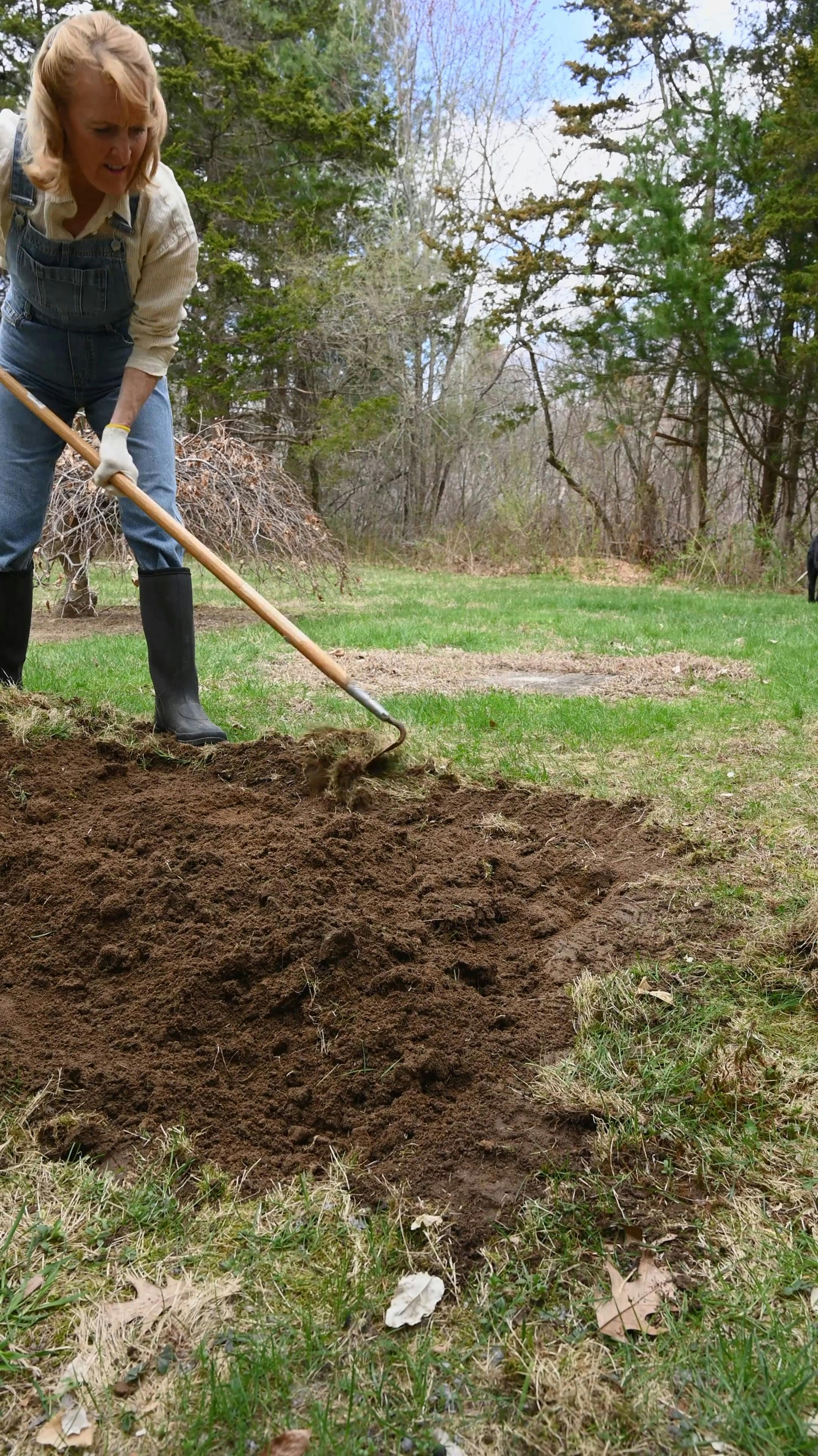 Tree Dig Videos, Download The BEST Free 4k Stock Video Footage & Tree ...