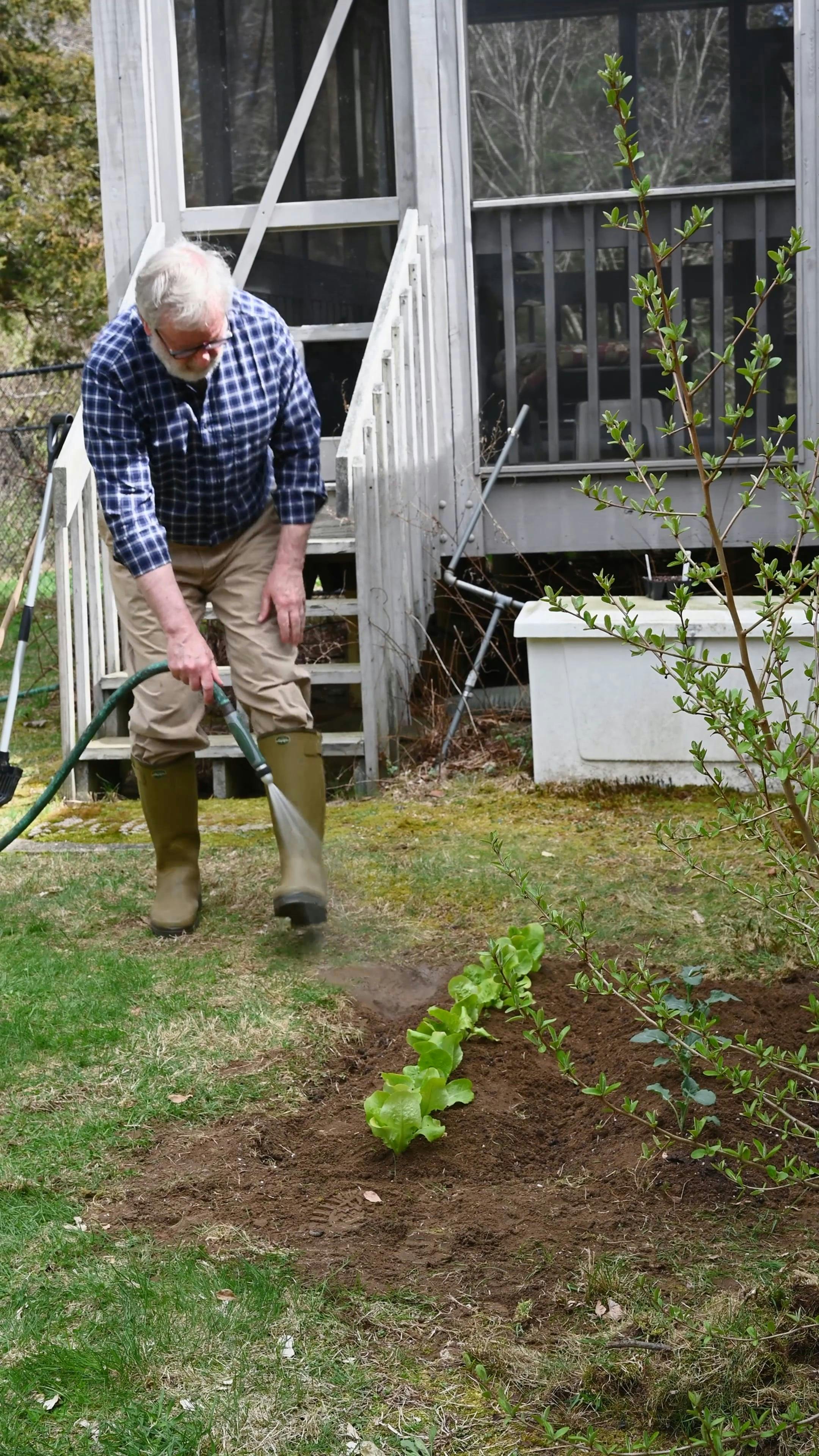 Video Of Person Watering The Plants · Free Stock Video