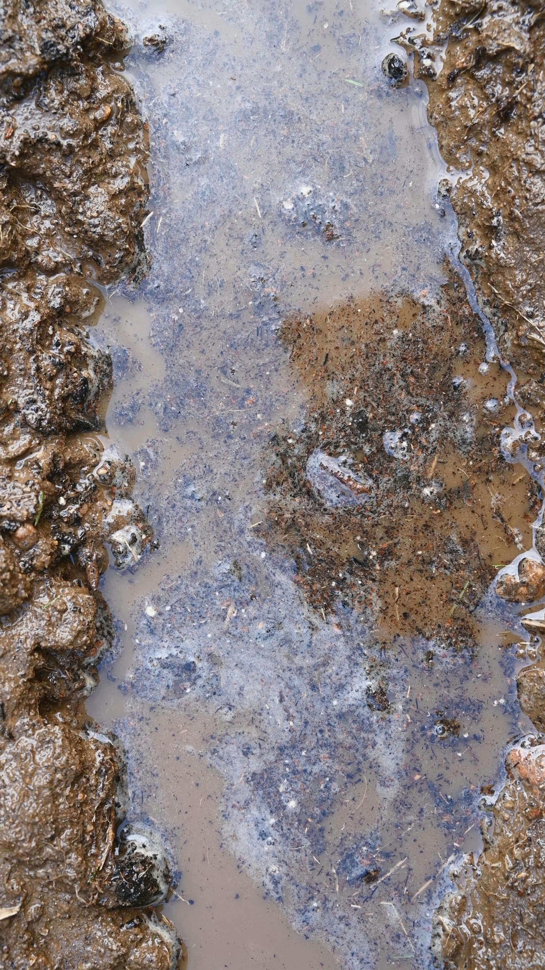 Storm Leaks Videos, Download The BEST Free 4k Stock Video Footage ...