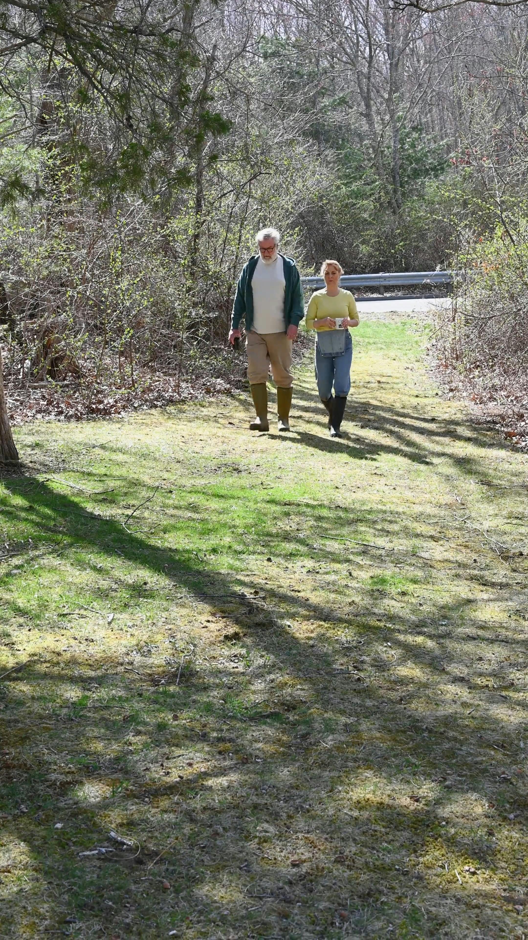 Spring Walk Videos, Download The BEST Free 4k Stock Video Footage ...