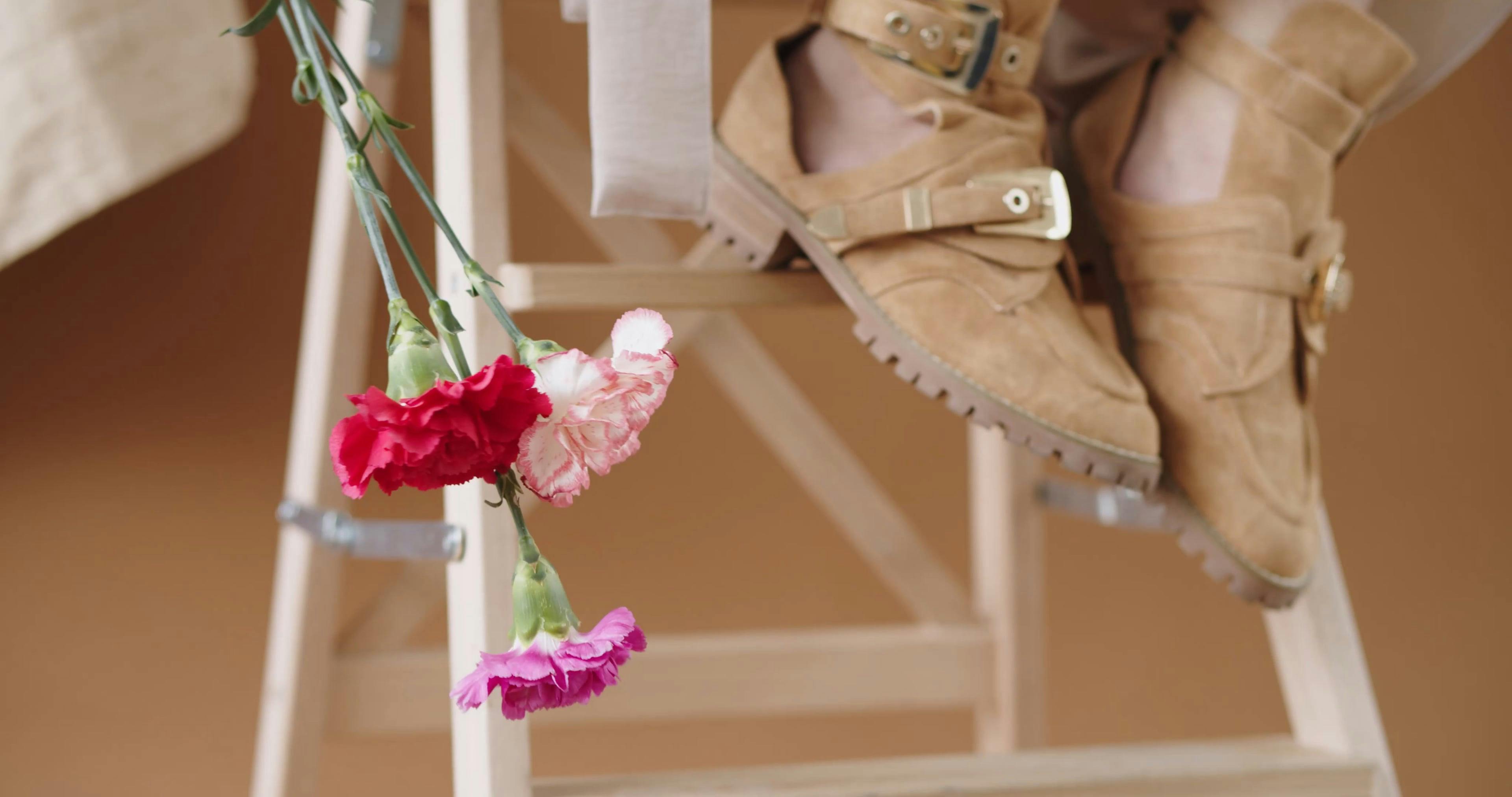 Dangling Flowers Videos, Download The BEST Free 4k Stock Video Footage ...