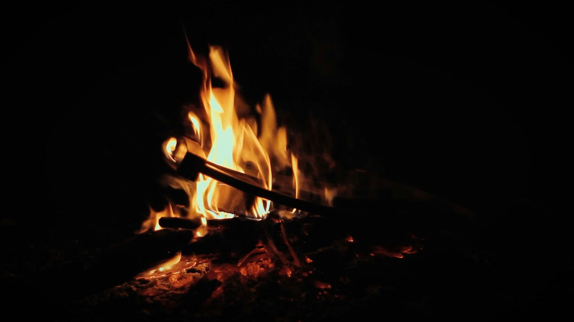 A Bonfire Giving Light From The Darkness Of The Night · Free Stock Video