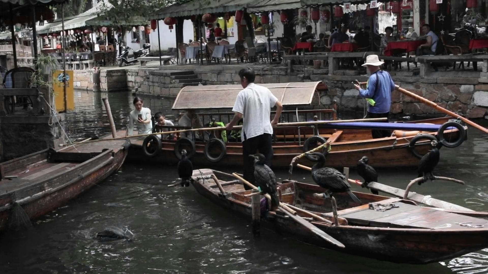 Travel Experiences Videos, Download The BEST Free 4k Stock Video ...