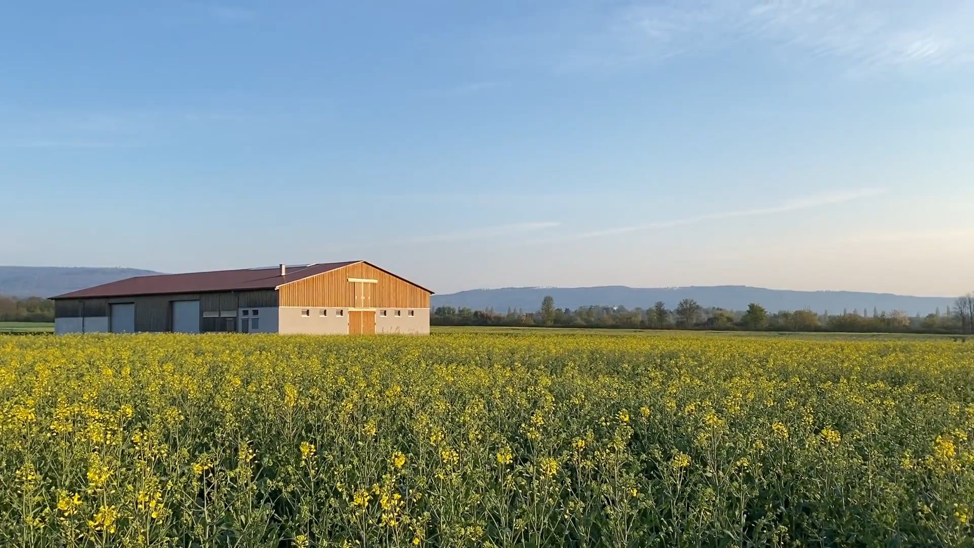 Yellow Scenery Place Videos, Download The BEST Free 4k Stock Video ...