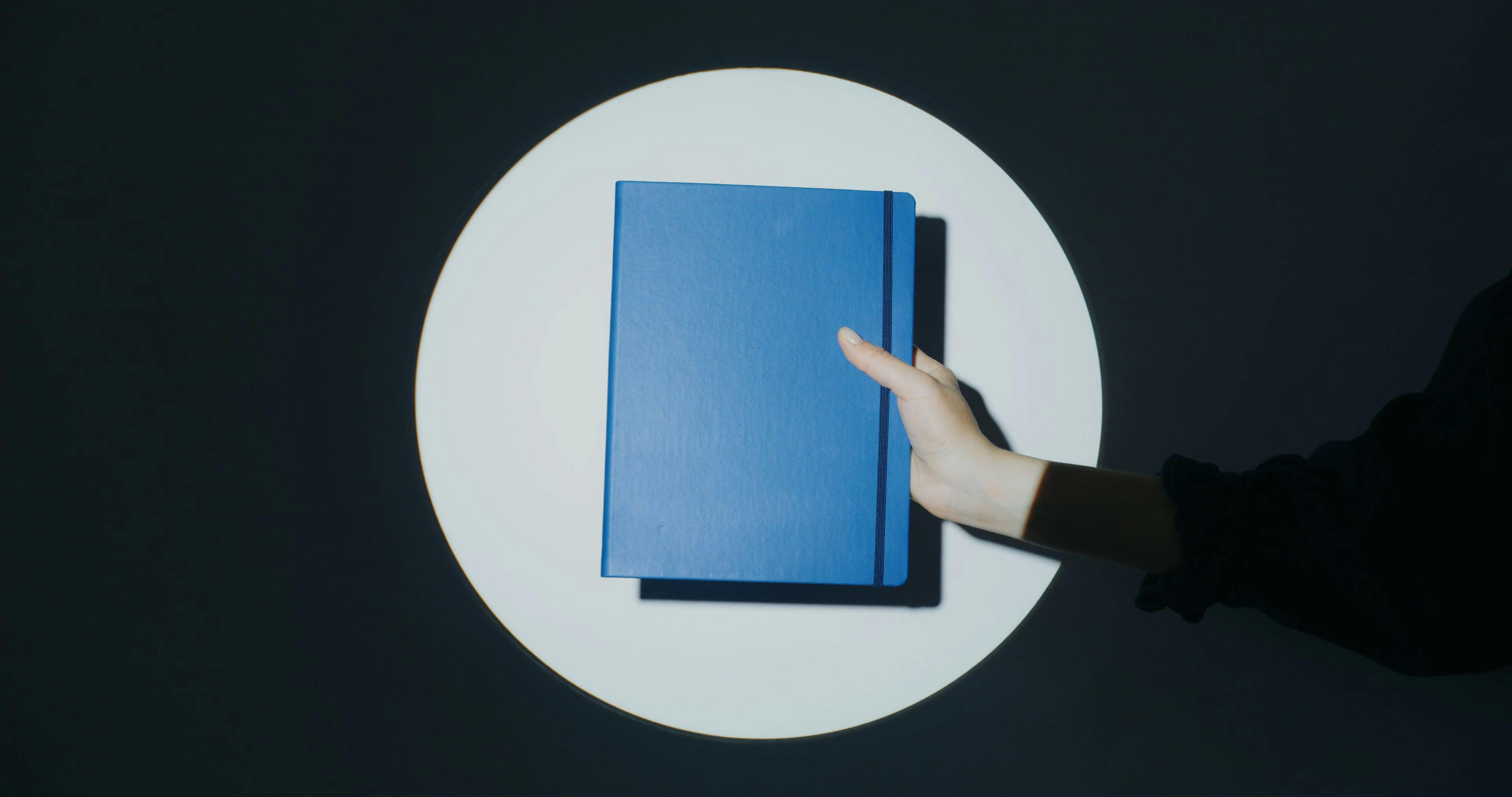 The Circle Book Ending Explained Videos, Download The BEST Free 4k ...