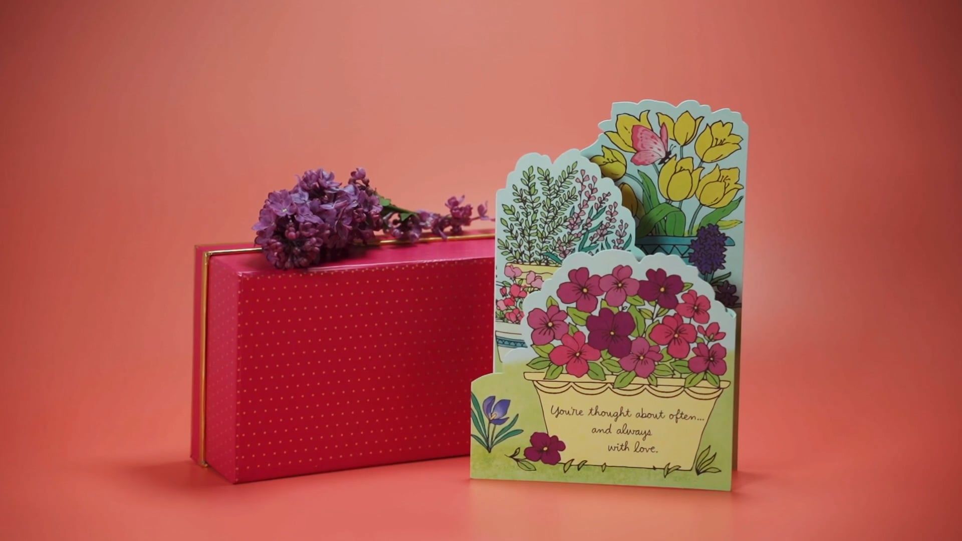 Custom Card Videos Download The Best Free 4k Stock Video Footage