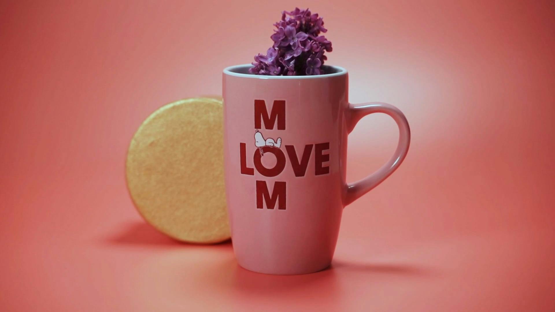 Close-up Shot of Flowers in a Pink Mug · Free Stock Video