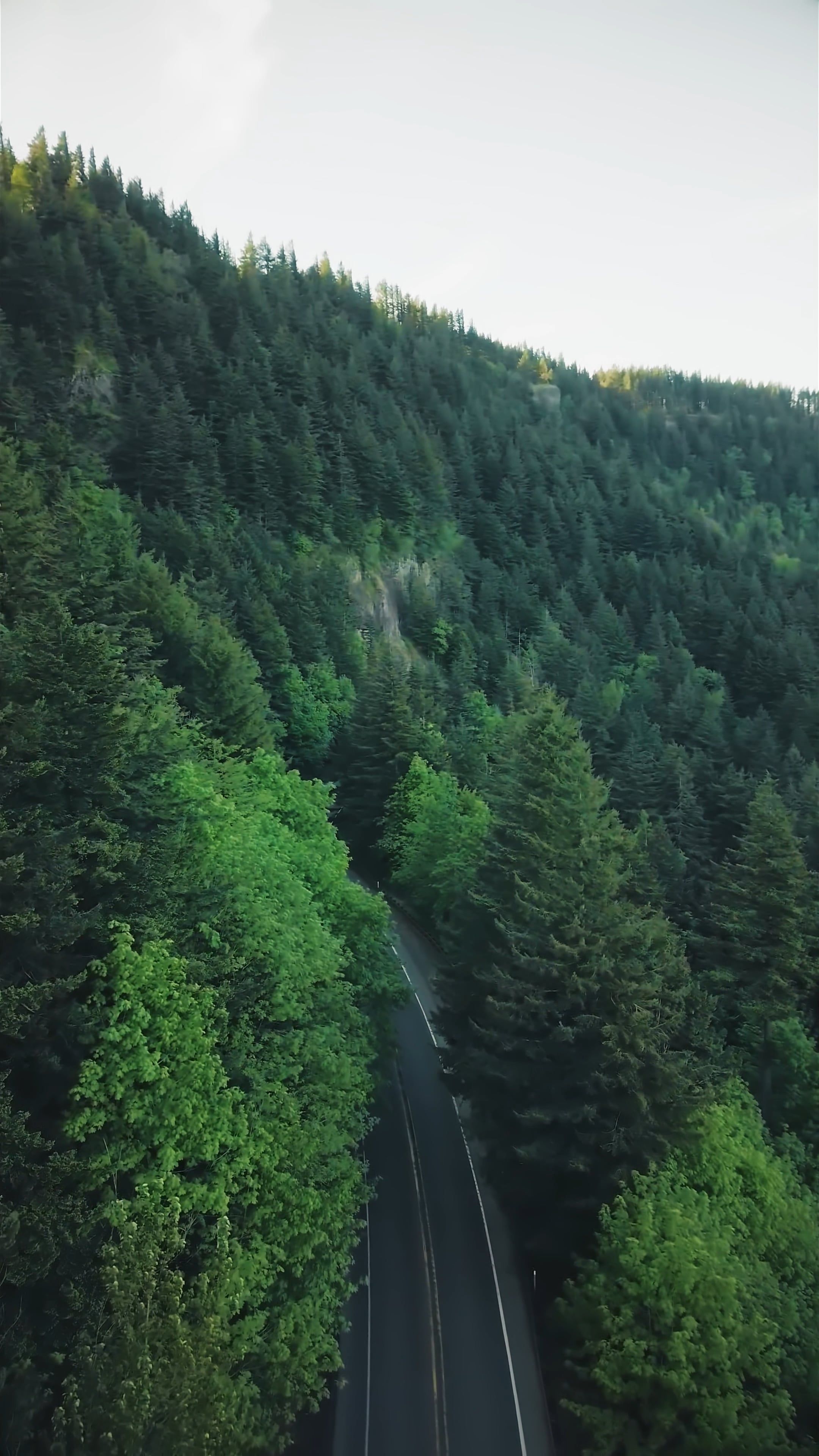 Aerial Footage of a Road Free Stock Video Footage, Royalty-Free 4K & HD ...