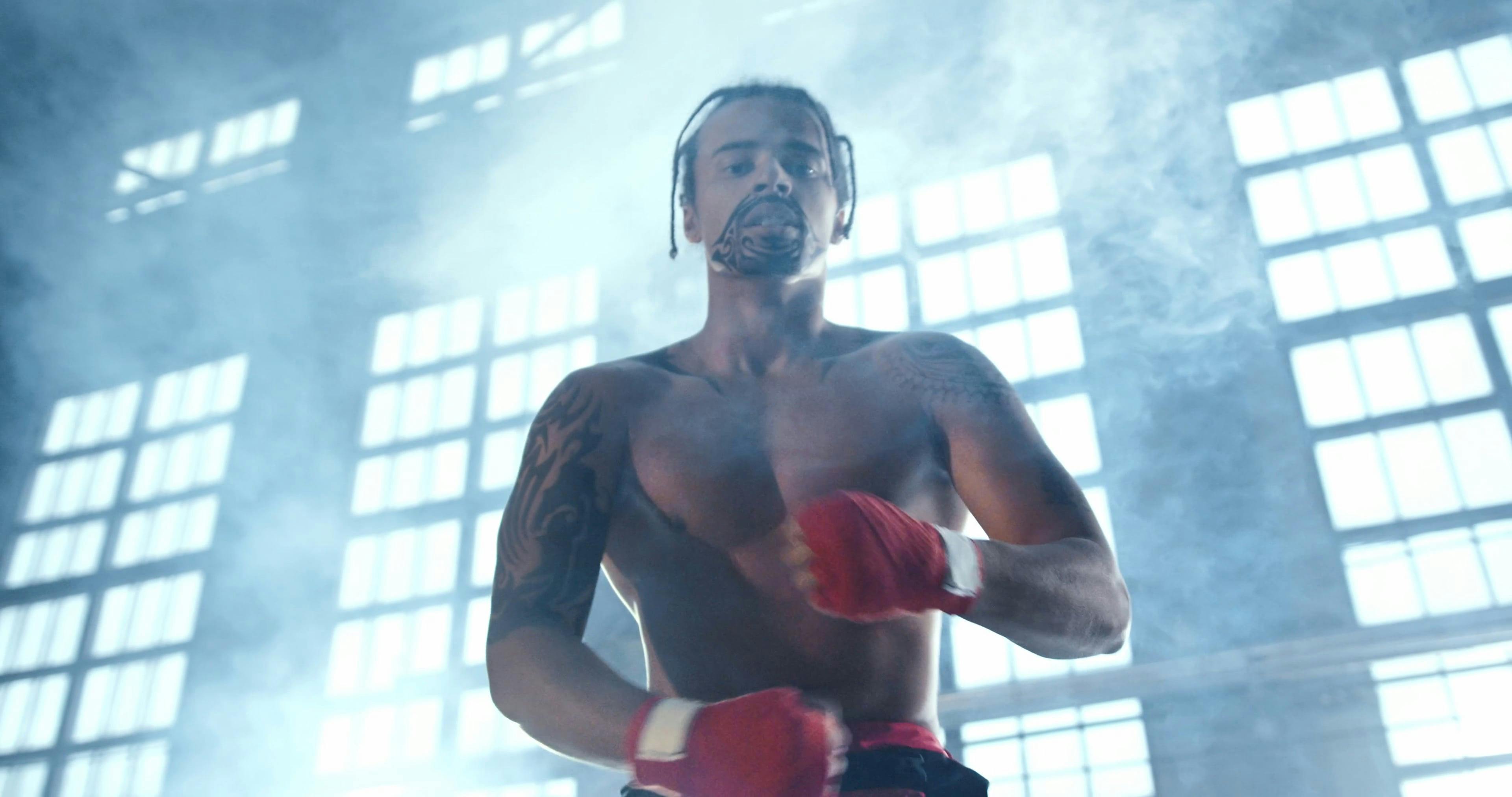 Boxer Posing As A Champion · Free Stock Video