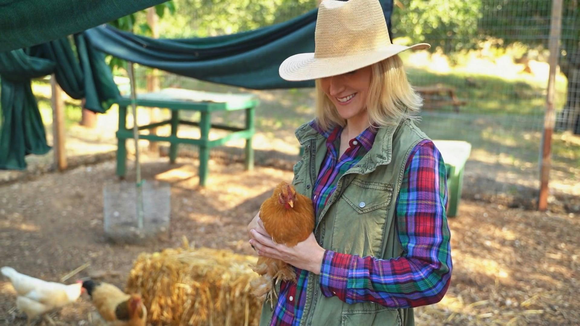 Beautiful Animals Videos, Download The BEST Free 4k Stock Video Footage ...