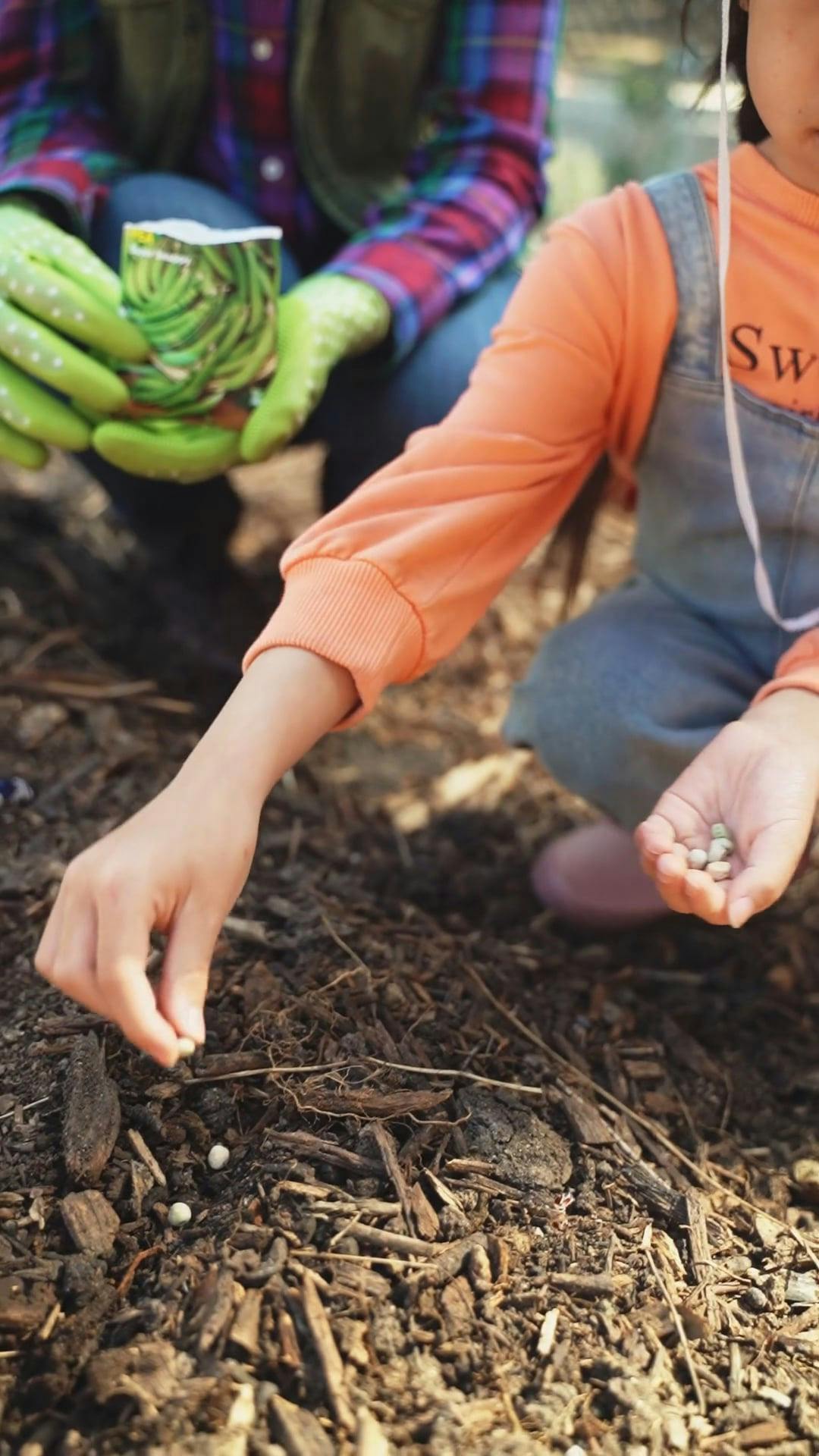 People Planting Seeds · Free Stock Video