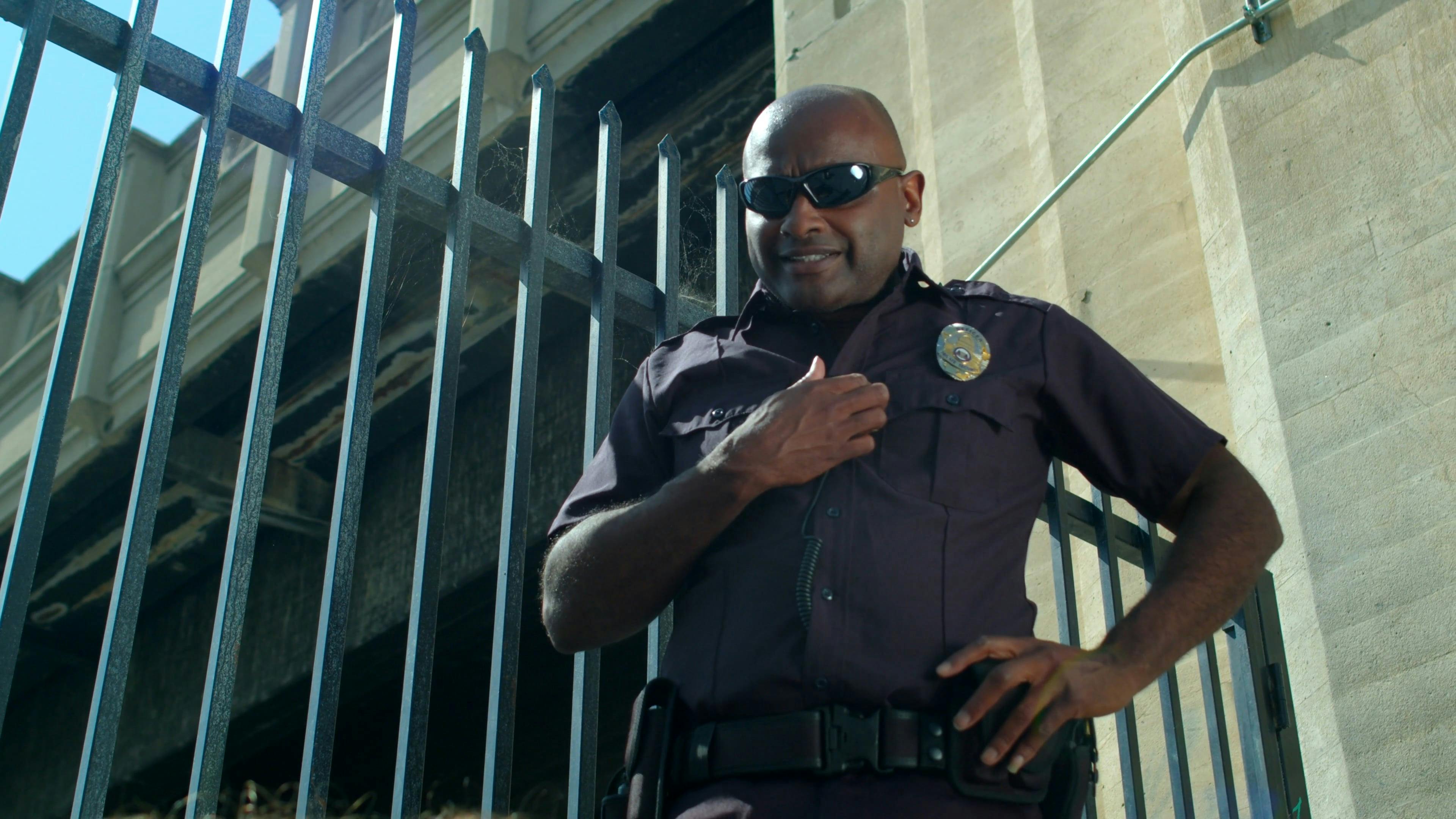 Police Shields Videos, Download The BEST Free 4k Stock Video Footage ...