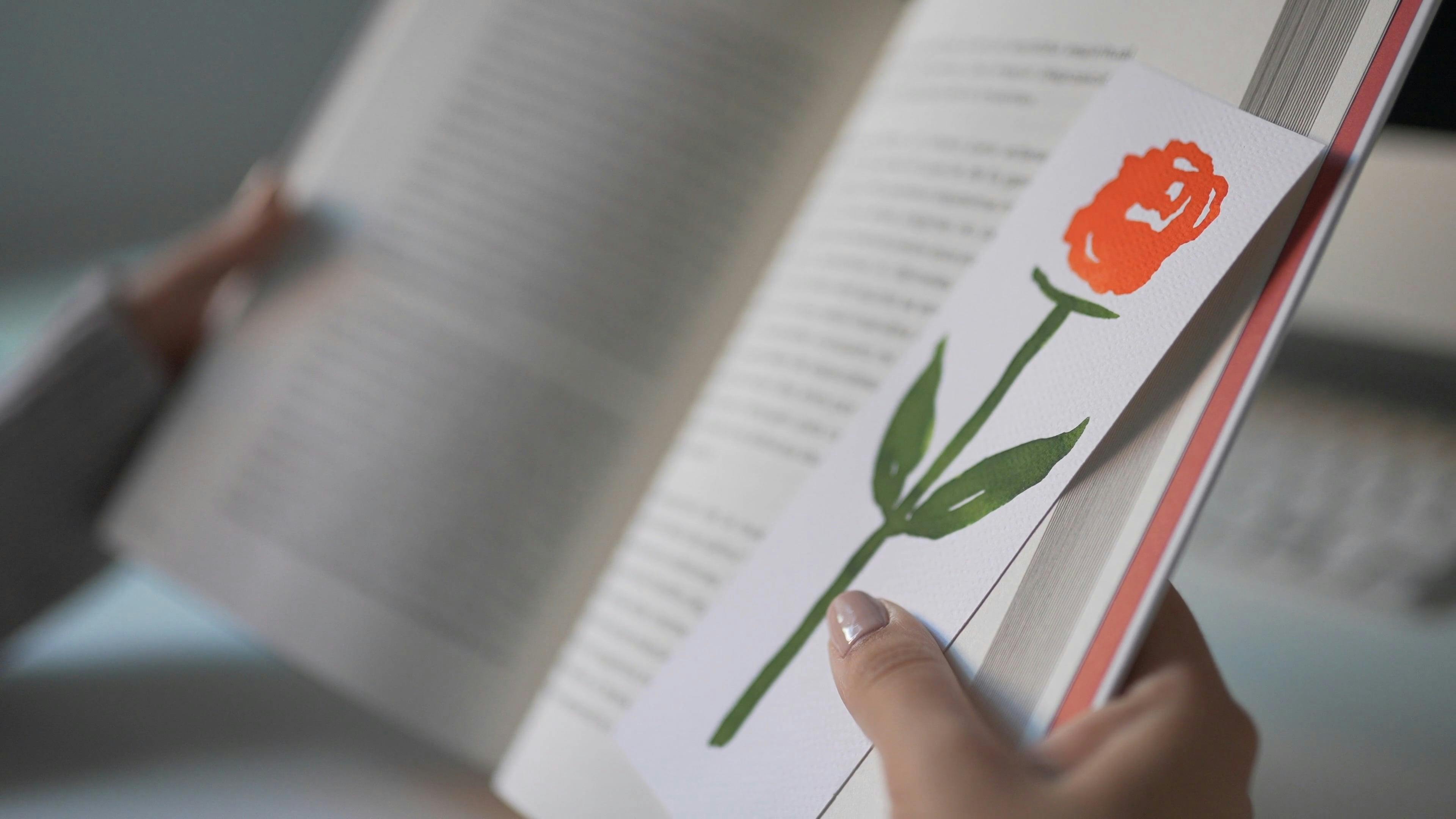 Close-up Footage Of An Open Book · Free Stock Video