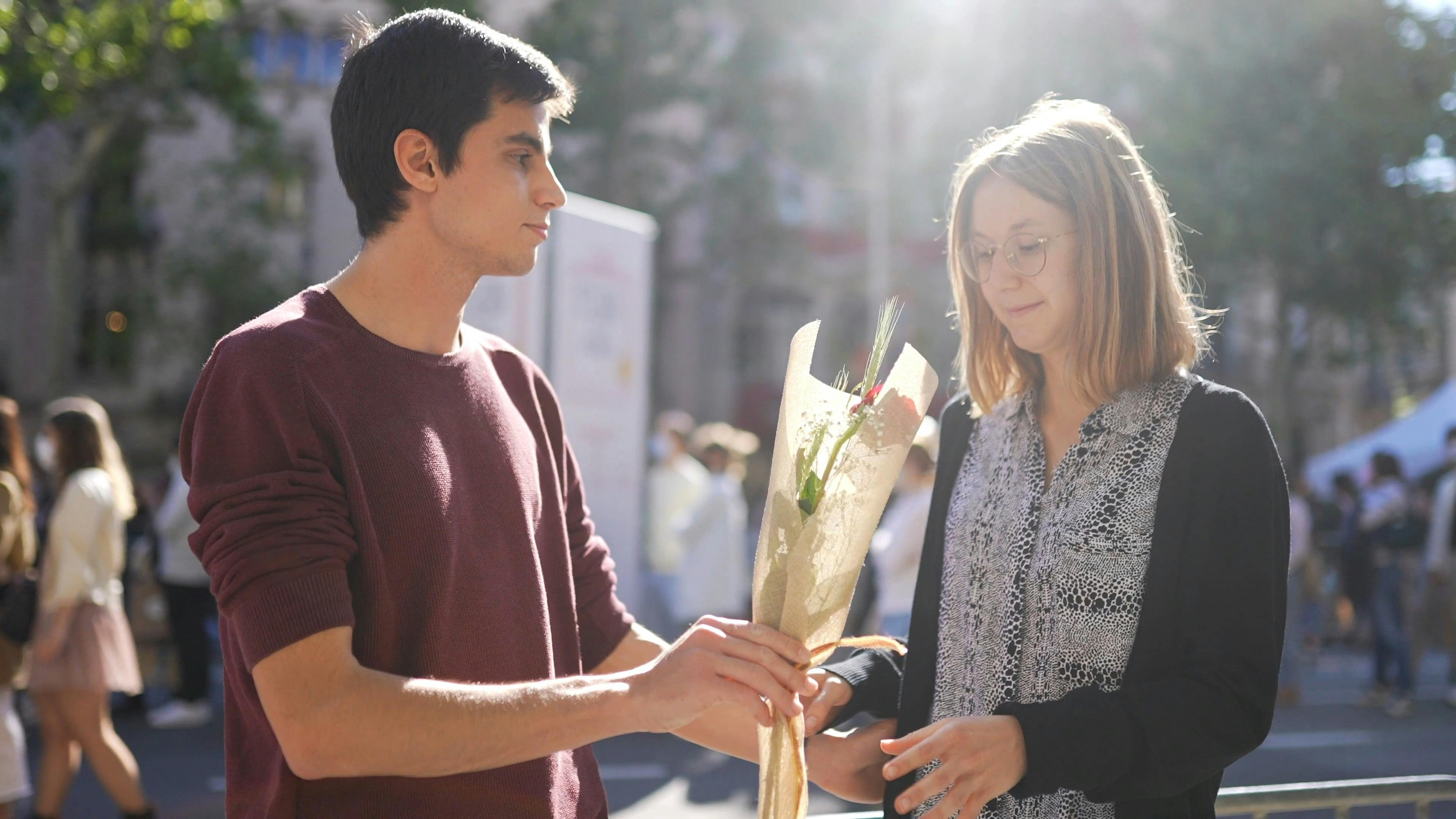 Rose Court Videos, Download The BEST Free 4k Stock Video Footage & Rose ...