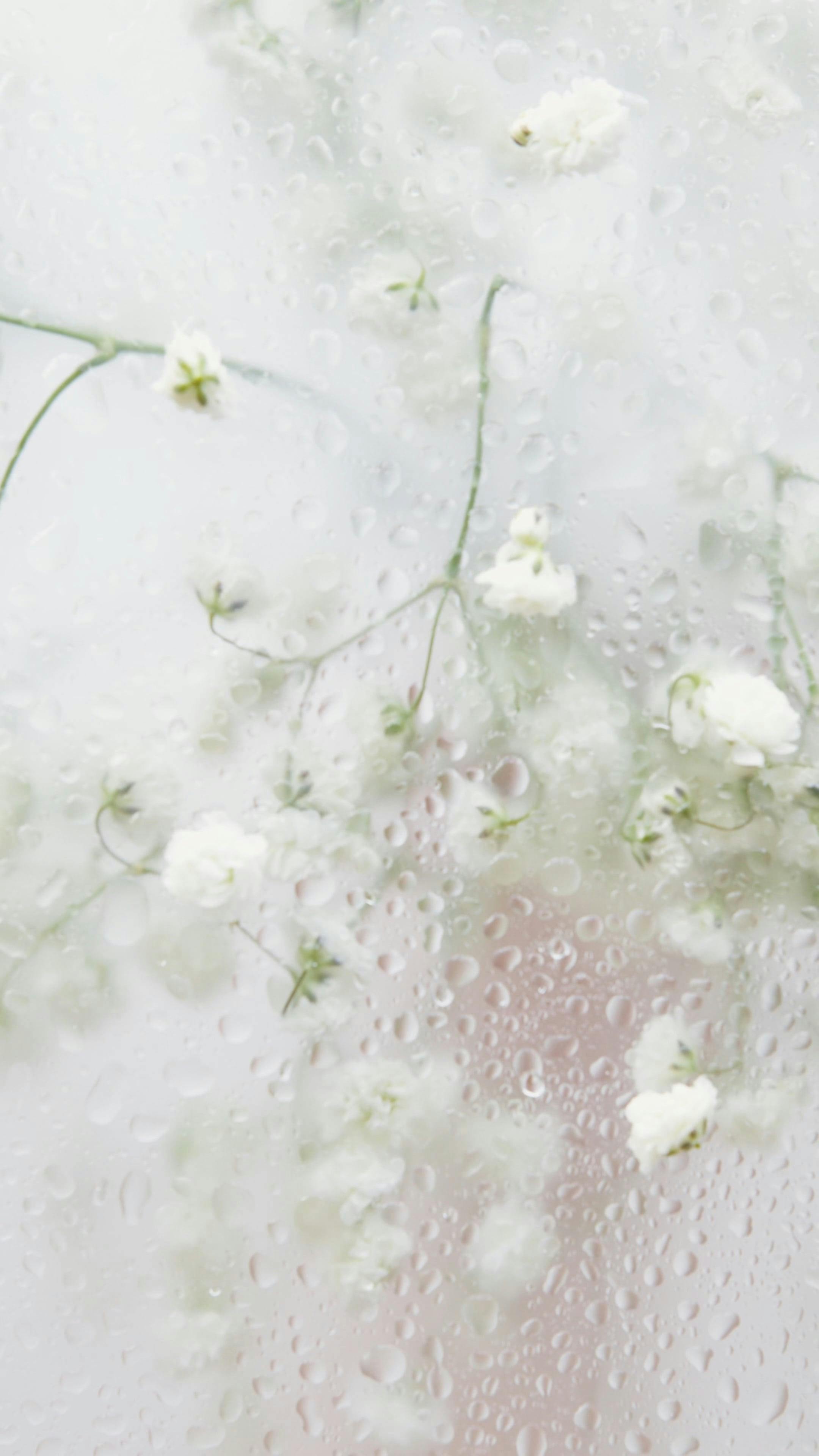 100+ Best Tiny Videos · 100% Free Download · Pexels Stock Videos