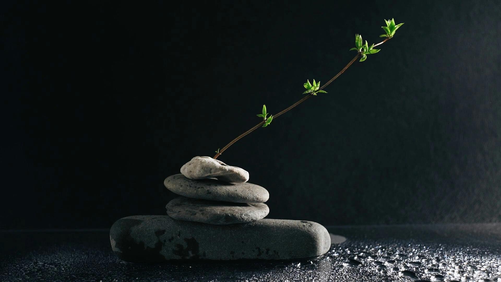 Stones Balancing Videos, Download The BEST Free 4k Stock Video Footage ...