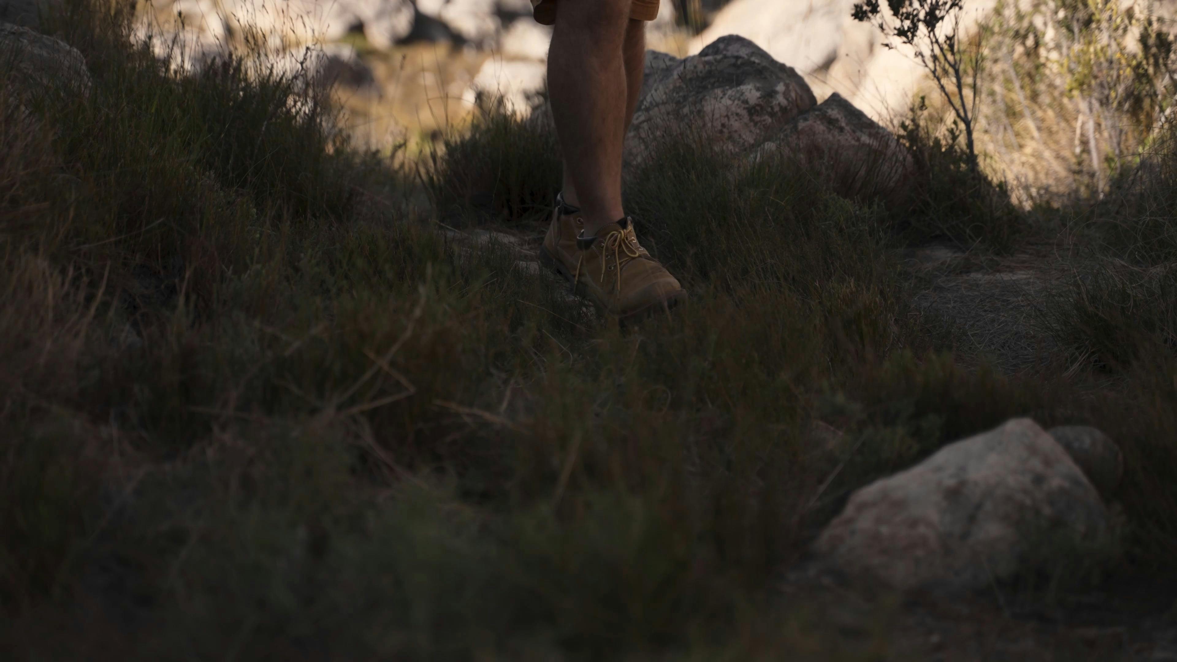 Wilderness Walk Videos, Download The BEST Free 4k Stock Video Footage ...