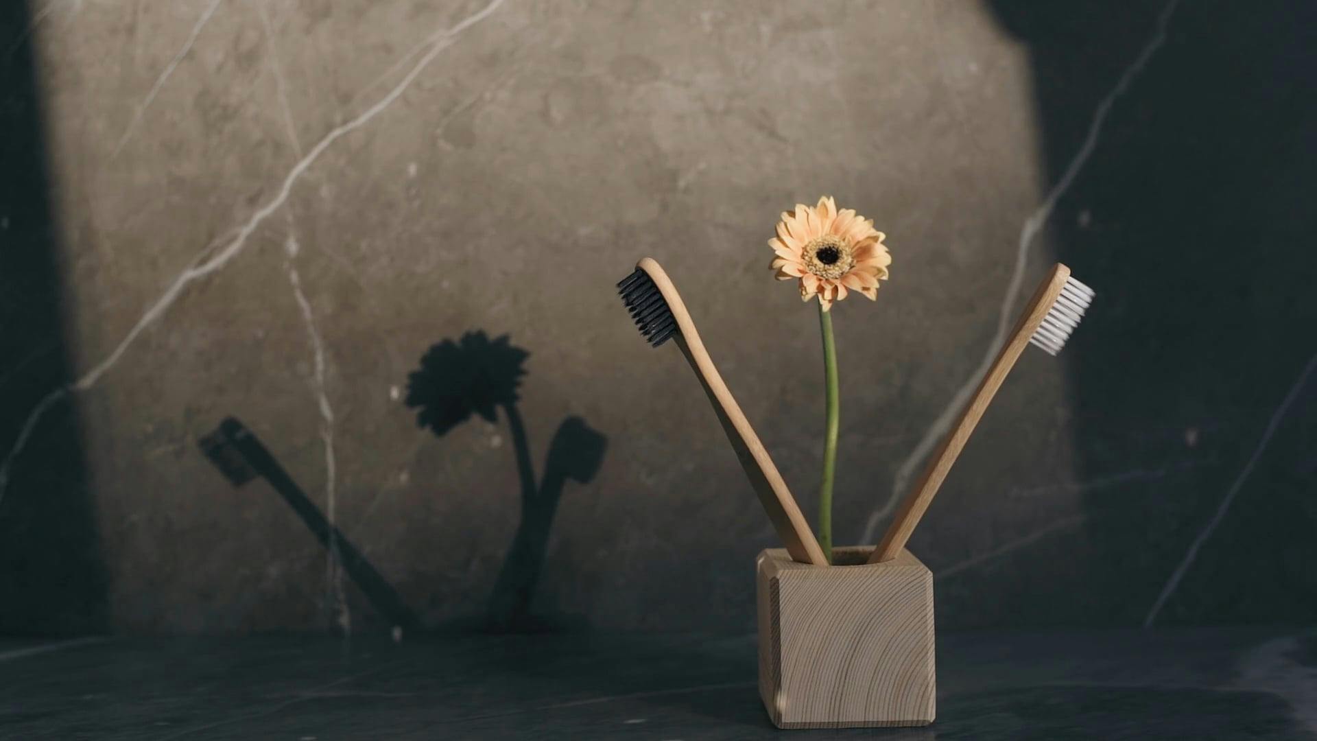 A Sunflower with Wooden Toothbrushes · Free Stock Video
