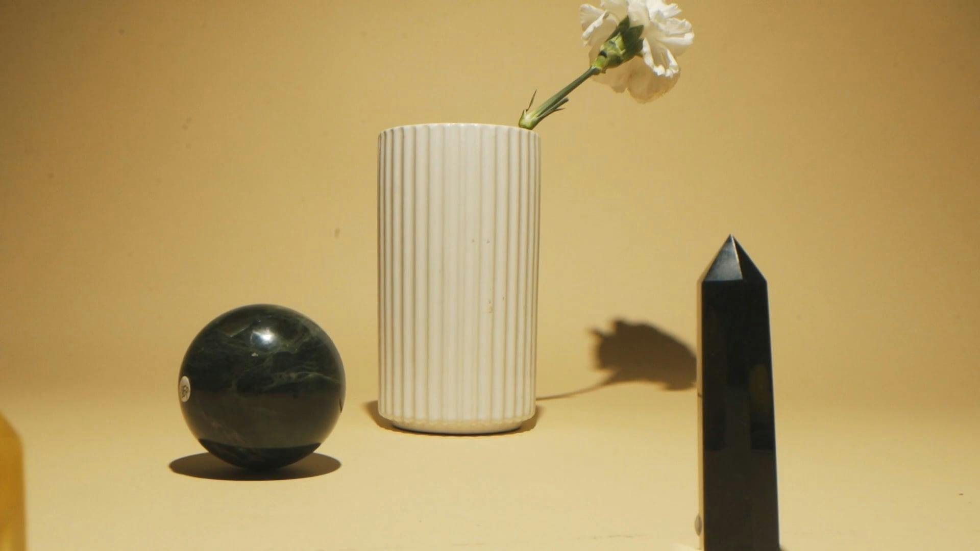 Flower Concepts Videos, Download The BEST Free 4k Stock Video Footage ...