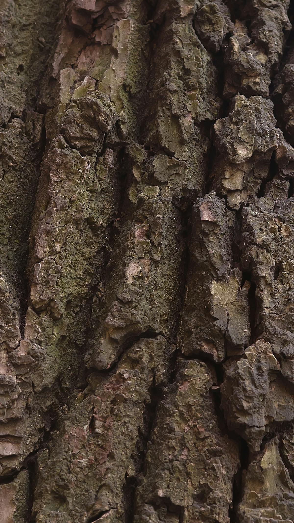 Stone Texture Videos, Download The BEST Free 4k Stock Video Footage ...