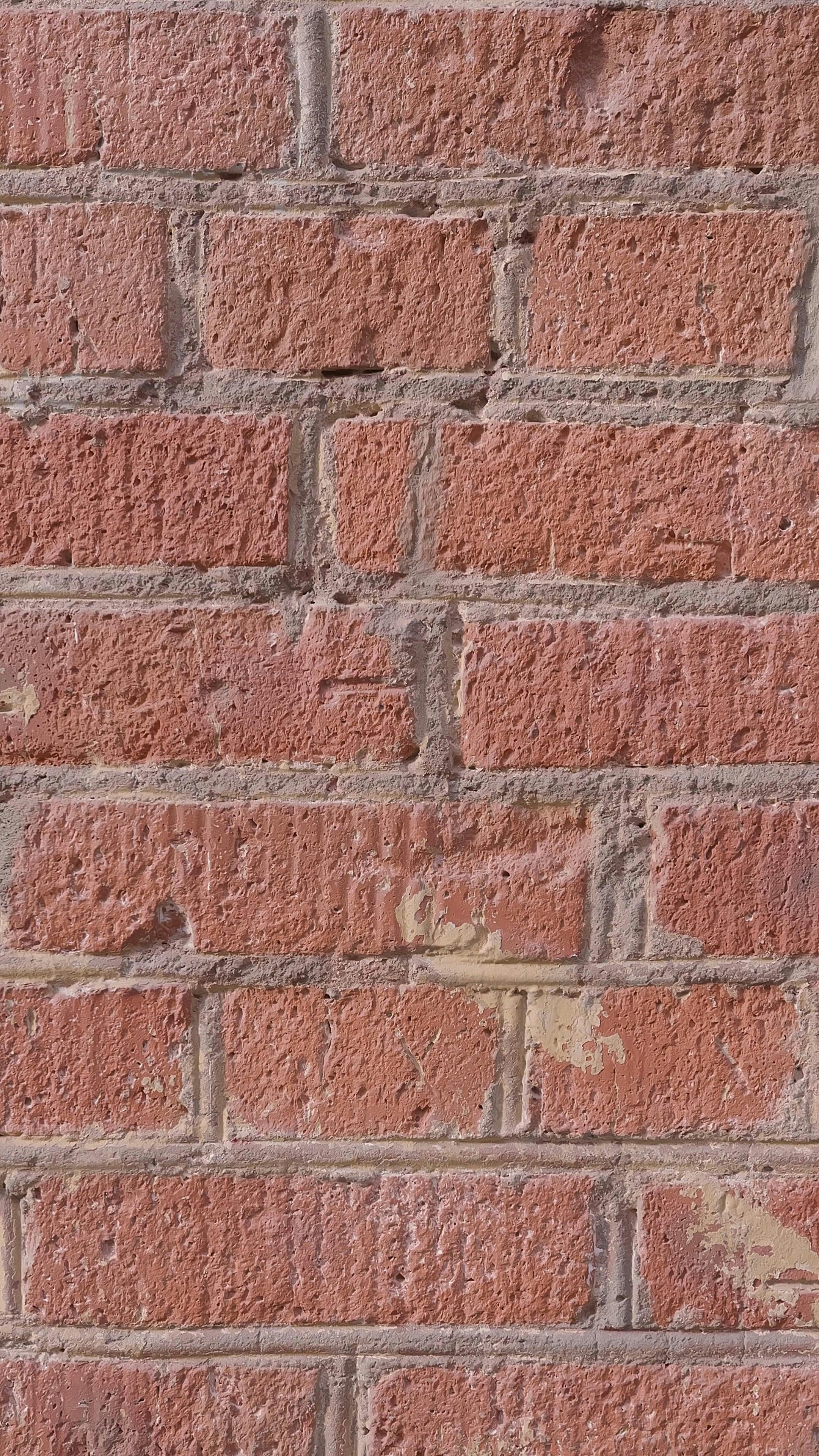 30,000+ Best Weird Textures Photos · 100% Free Download · Pexels Stock ...