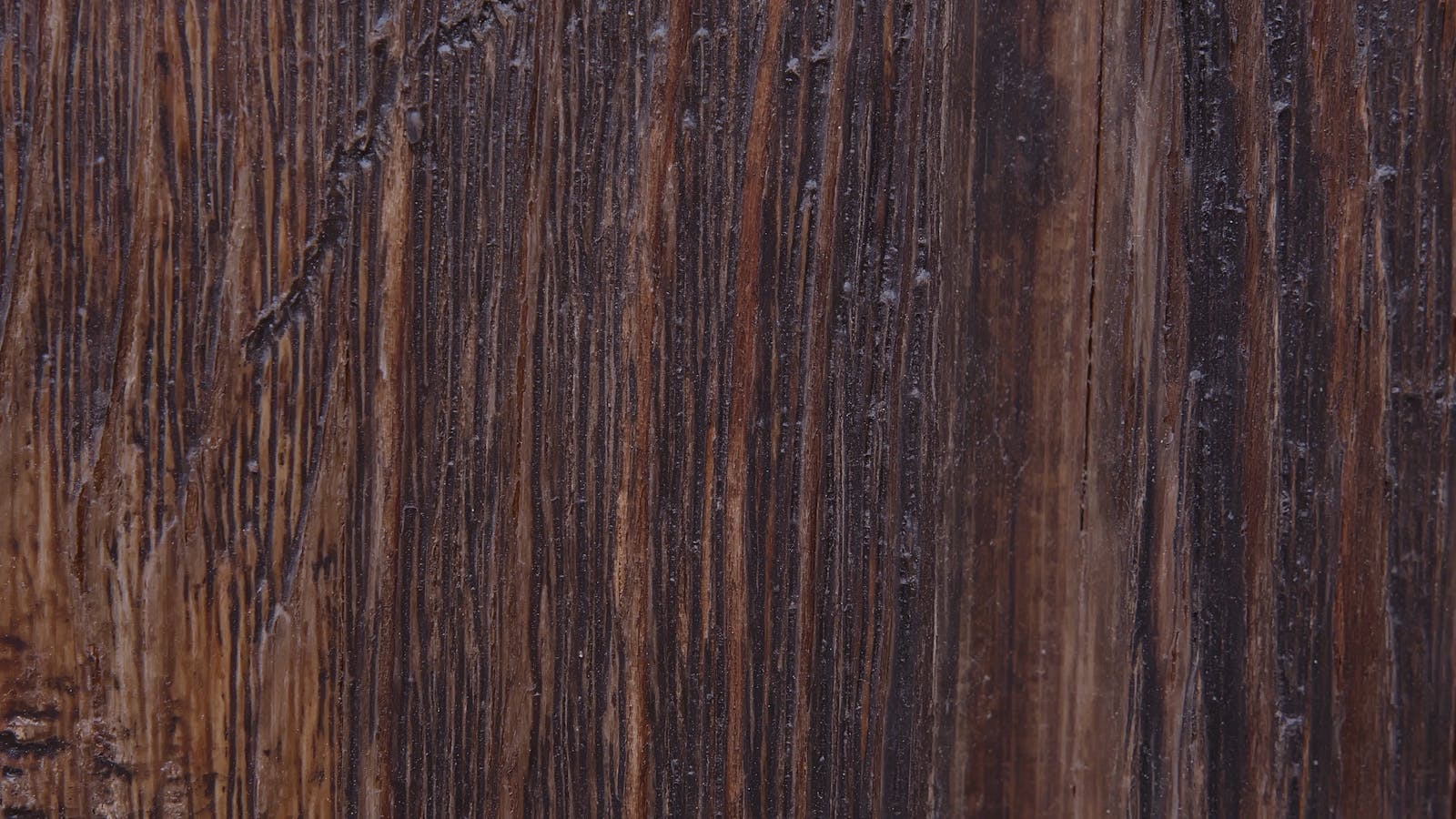 Wood Texture Videos, Download The BEST Free 4k Stock Video Footage ...