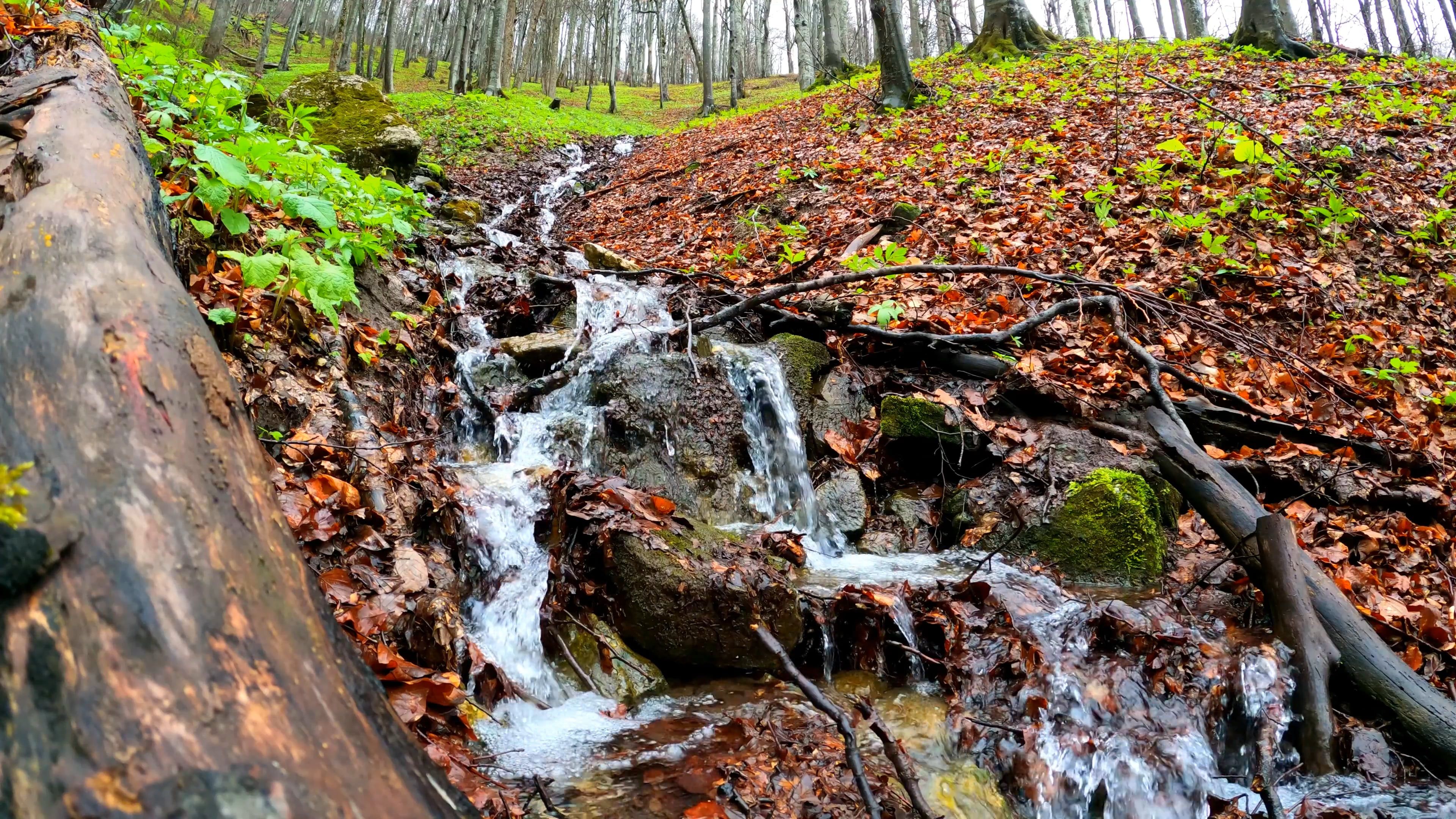 Close Up View of Stream Flowing From the Mountain Free Stock Video ...