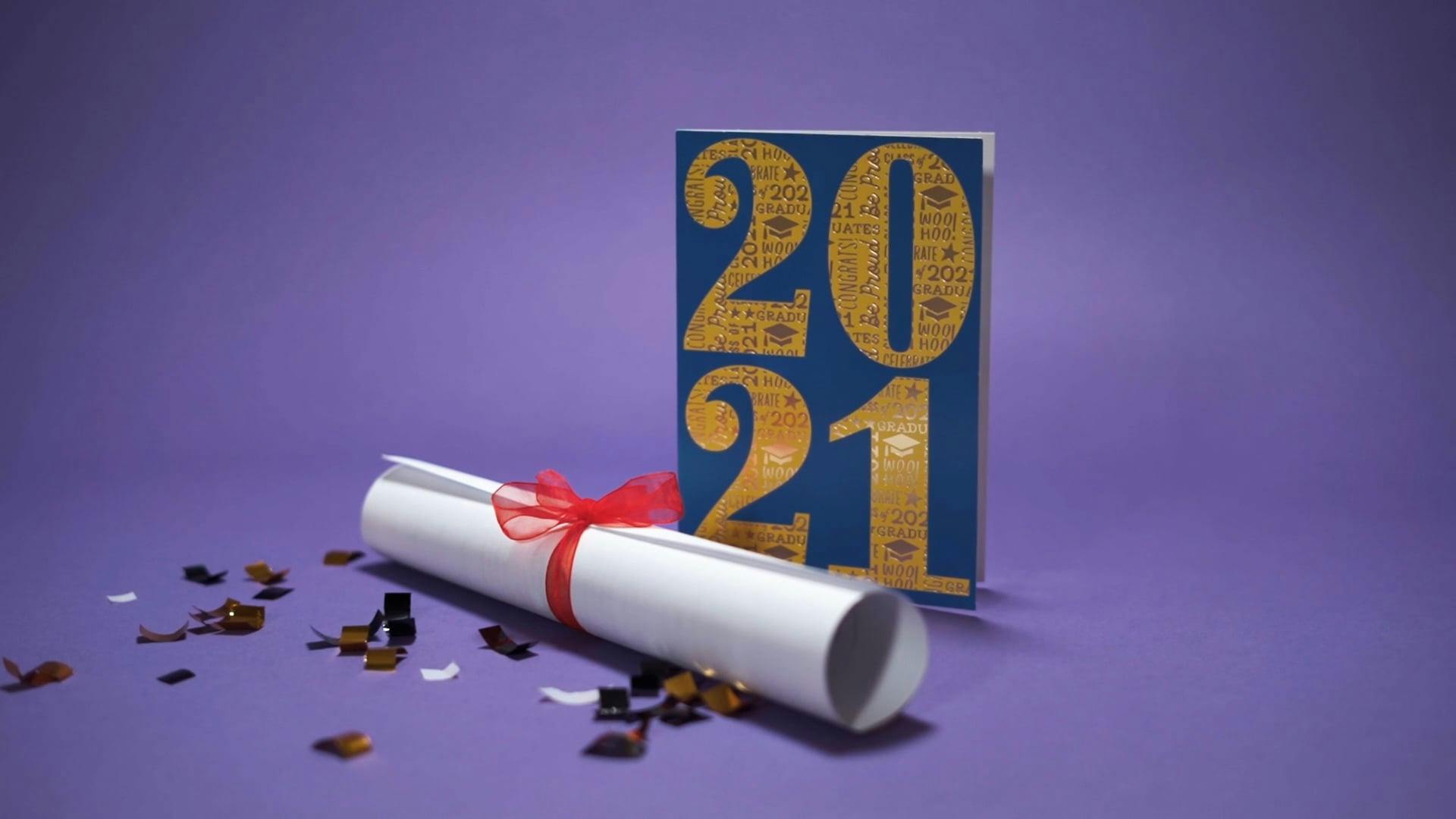 Male Graduate Holding a Diploma Free Stock Video Footage, Royalty-Free ...