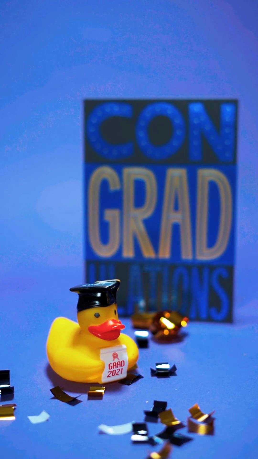 Graduation Card Background Images Videos, Download The BEST Free 4k ...