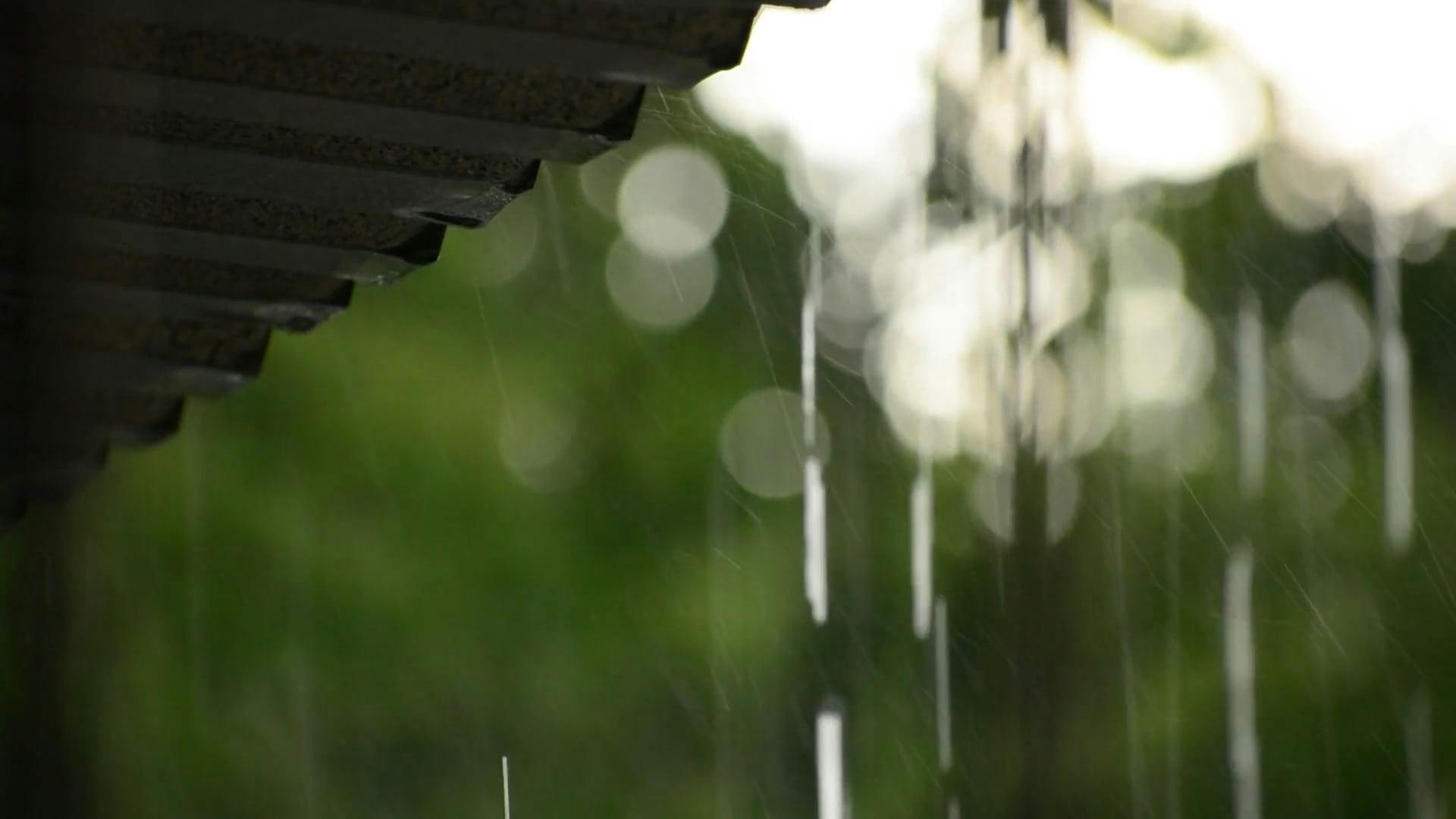 Heavy Raindrops Falling Free Stock Video Footage, Royalty-Free 4K & HD ...