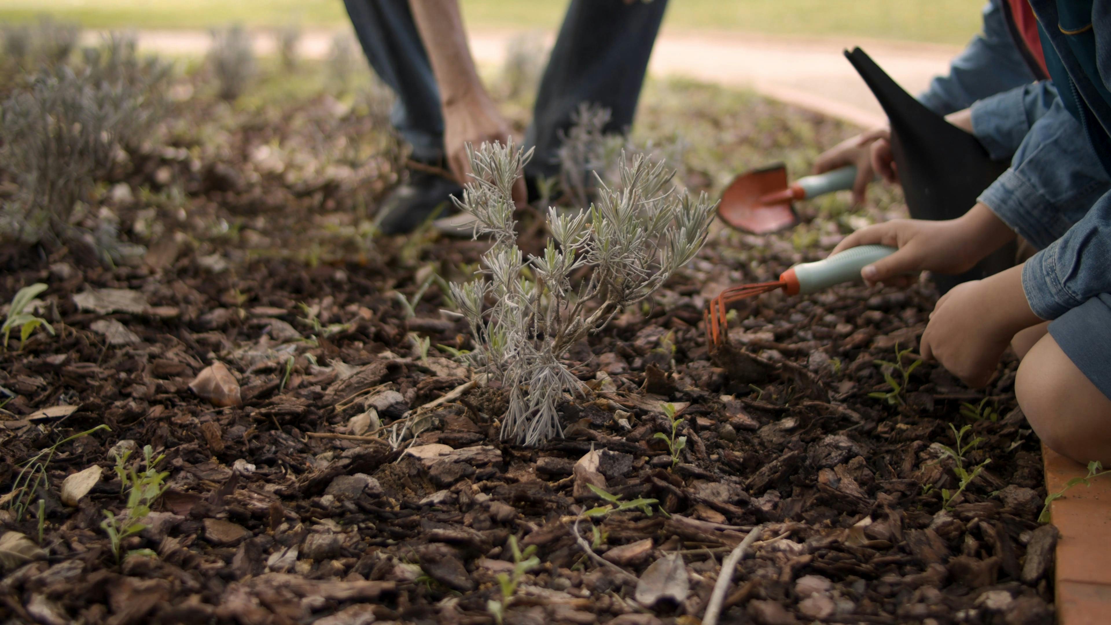Gardening Hand Rake Videos, Download The BEST Free 4k Stock Video ...