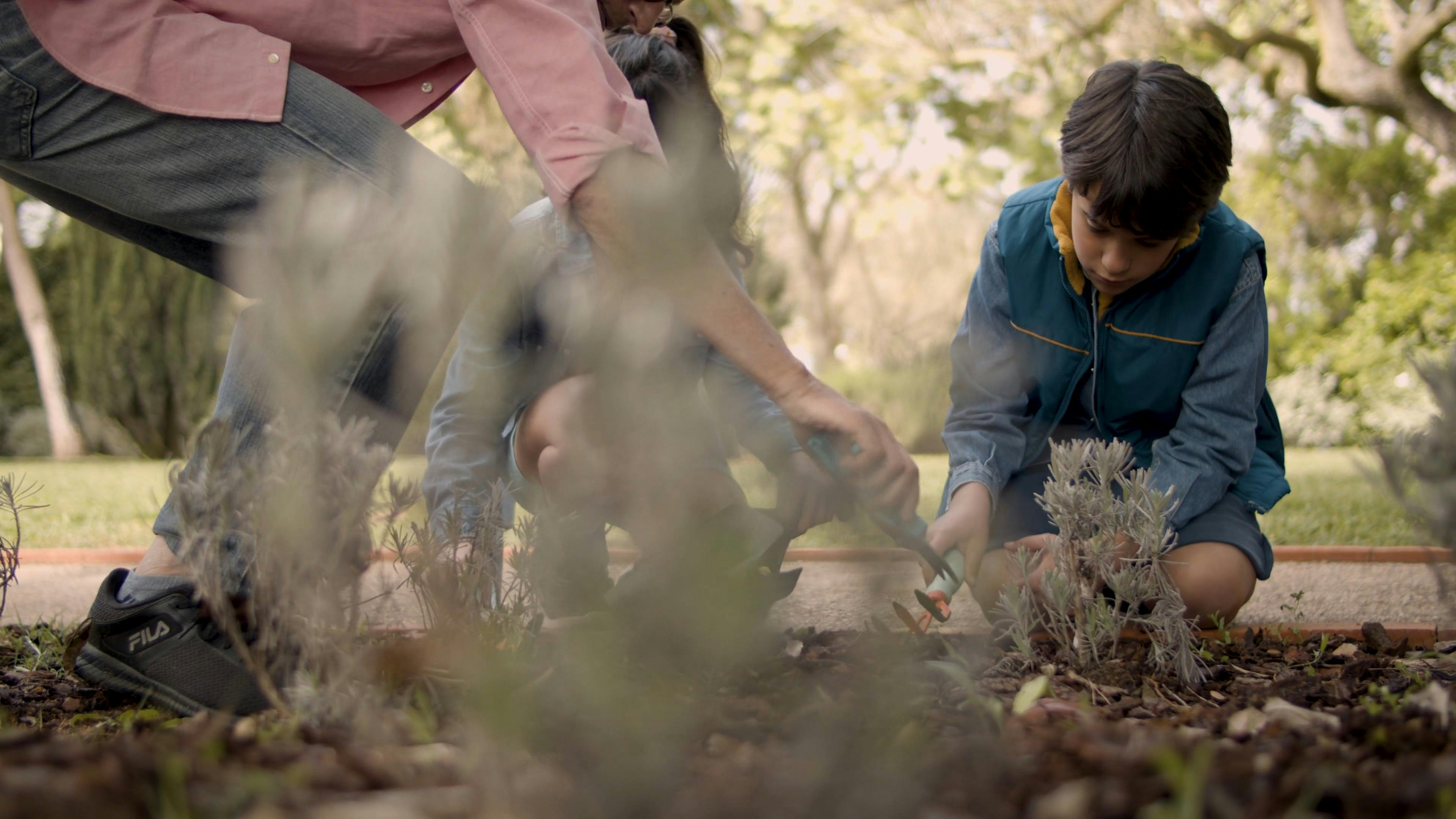 Kids Planting Trees Videos, Download The BEST Free 4k Stock Video ...