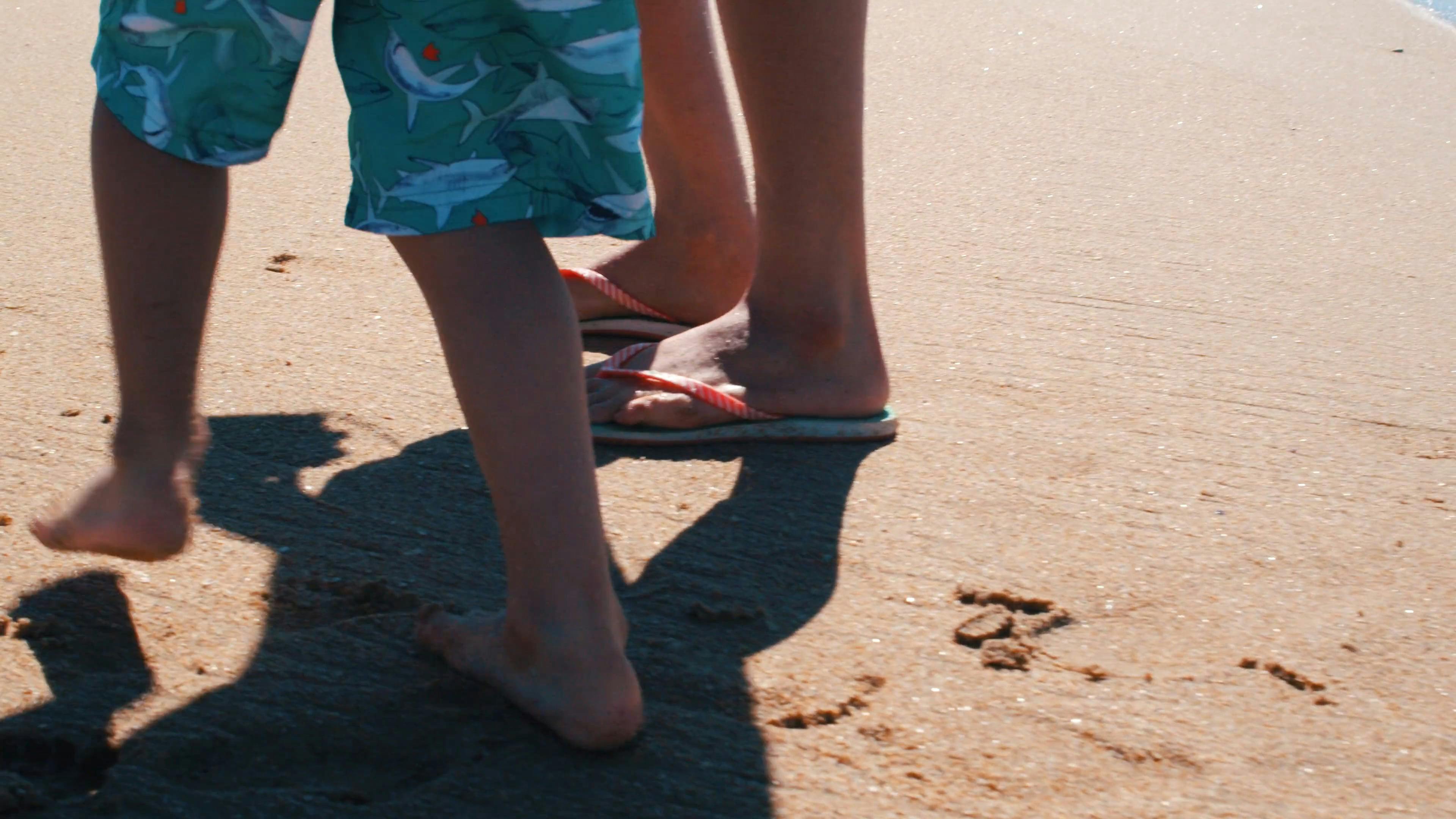 4k Beach Walk Videos, Download The BEST Free 4k Stock Video Footage ...