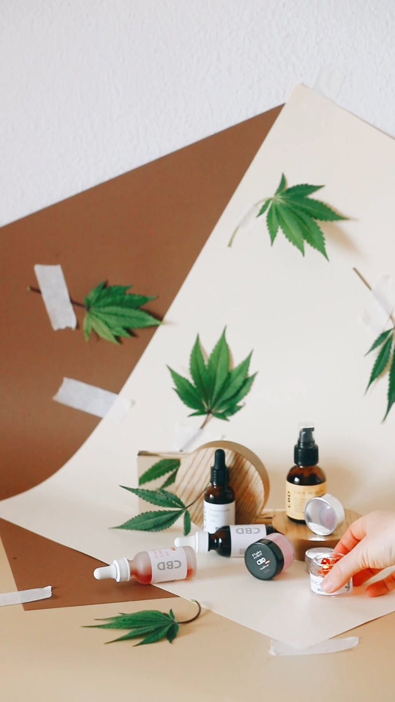 Mini Videos, Download The BEST Free 4k Stock Video Footage & Mini HD ...