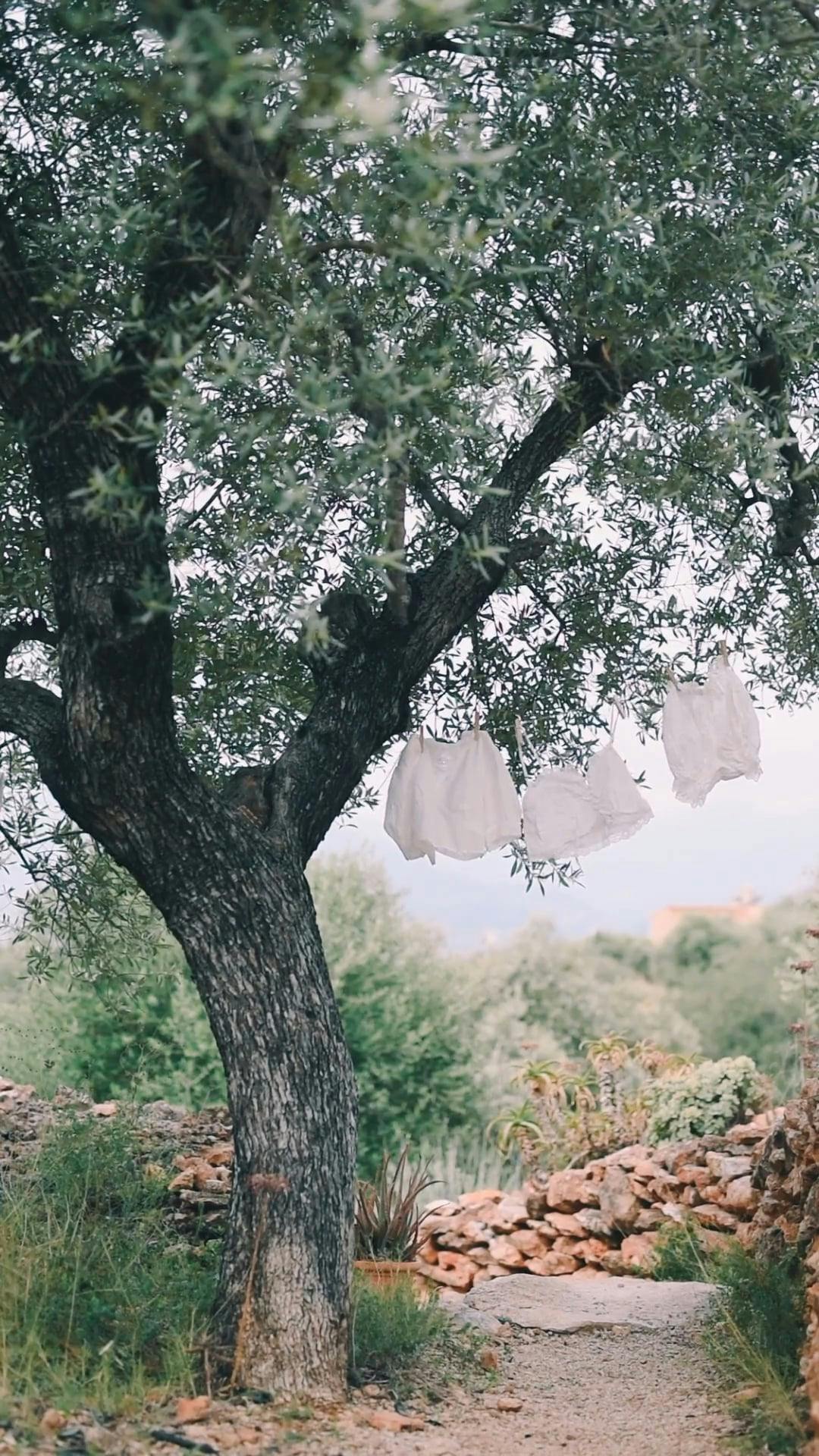 Pin Pastoral Videos, Download The BEST Free 4k Stock Video Footage & Pin Pastoral HD Video Clips