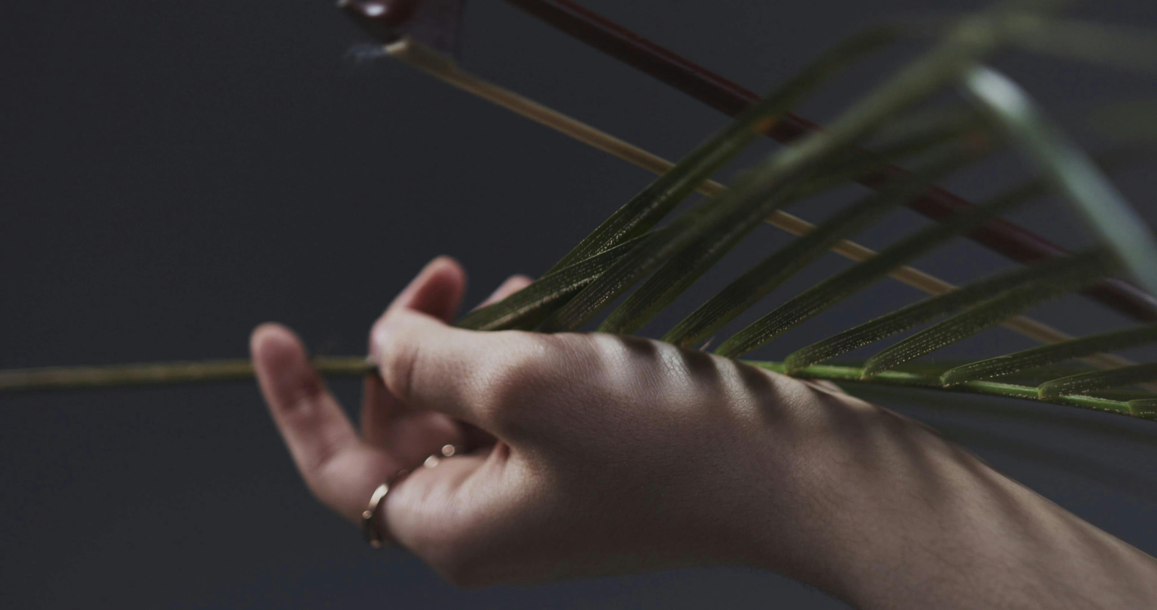 A Person Using a Bow in a Palm Leaf · Free Stock Video