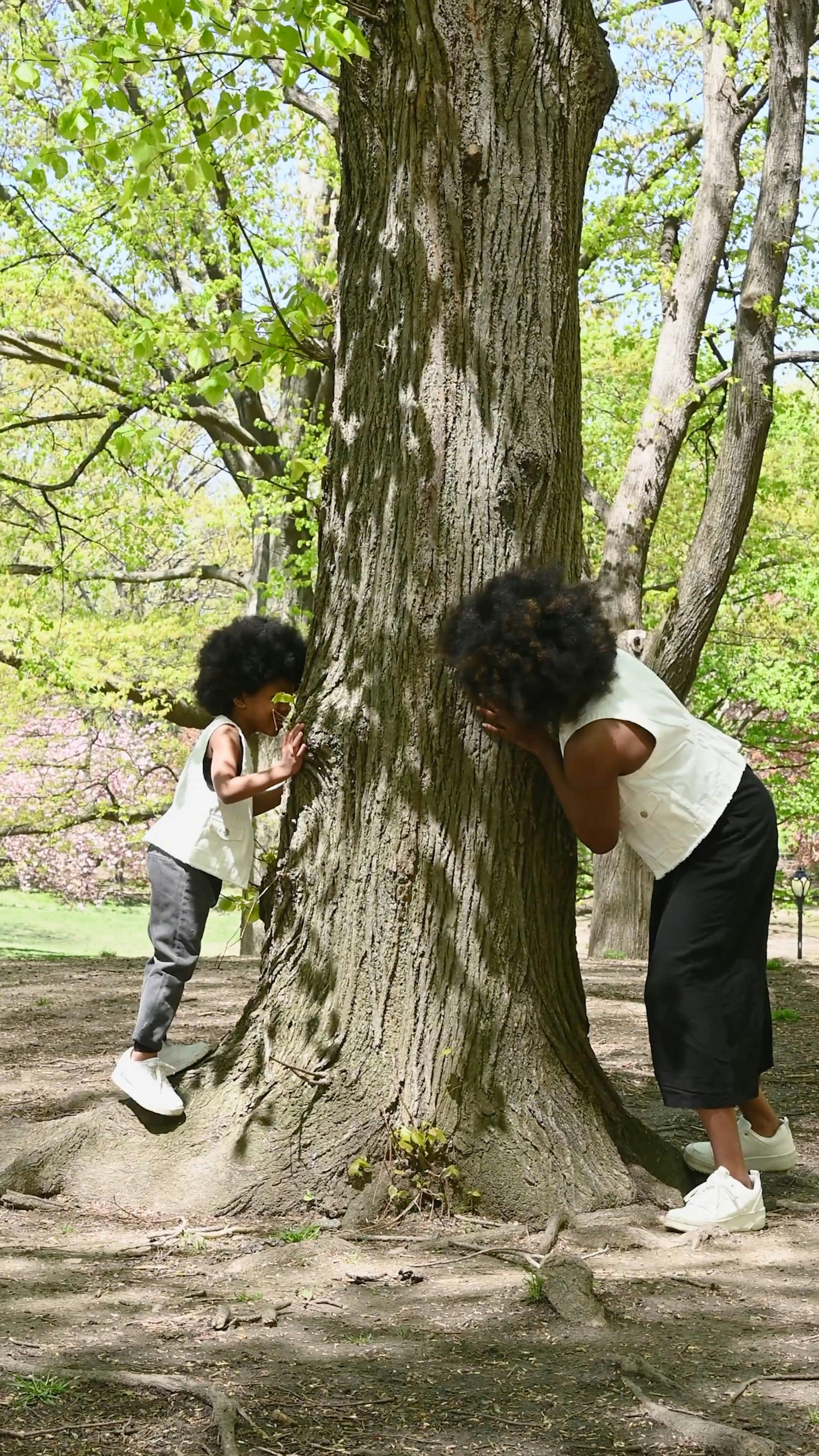 Vidéo gratuite de activité, activité amusante, adorable, affection ...