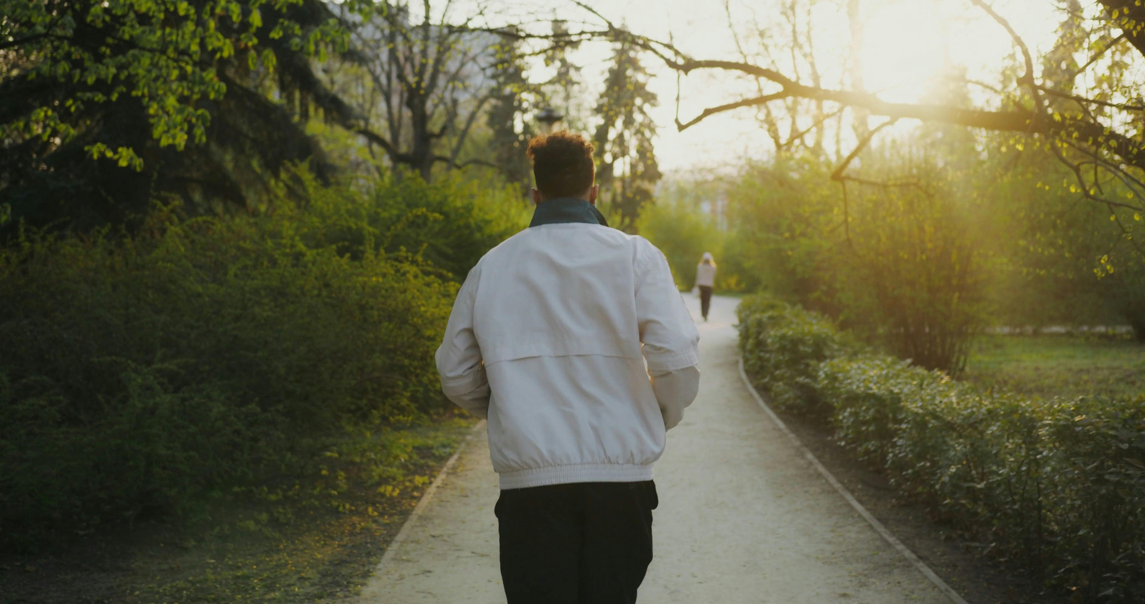 A Man Running in the Park · Free Stock Video